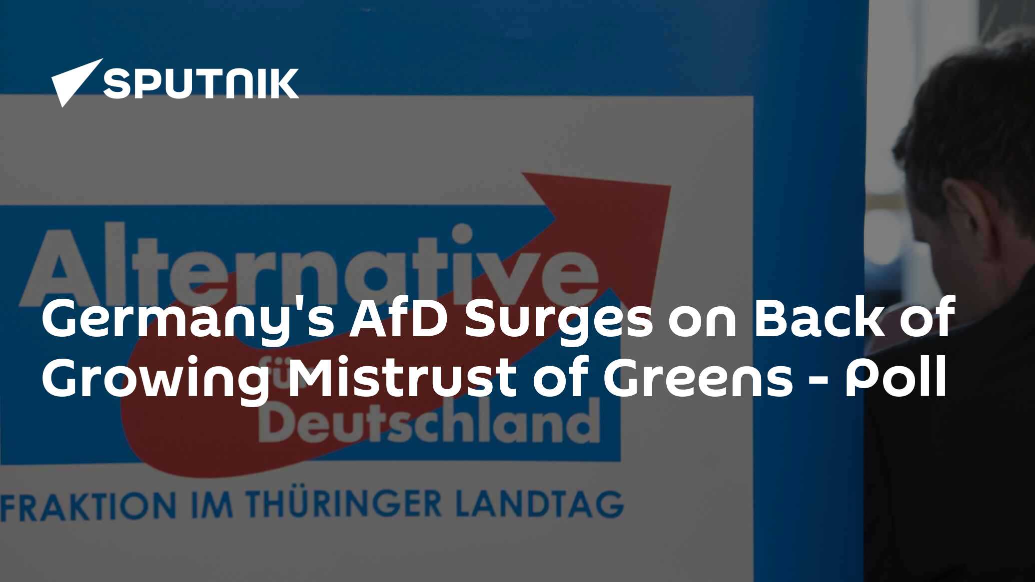 Germanys Afd Surges On Back Of Growing Mistrust Of Greens Poll
