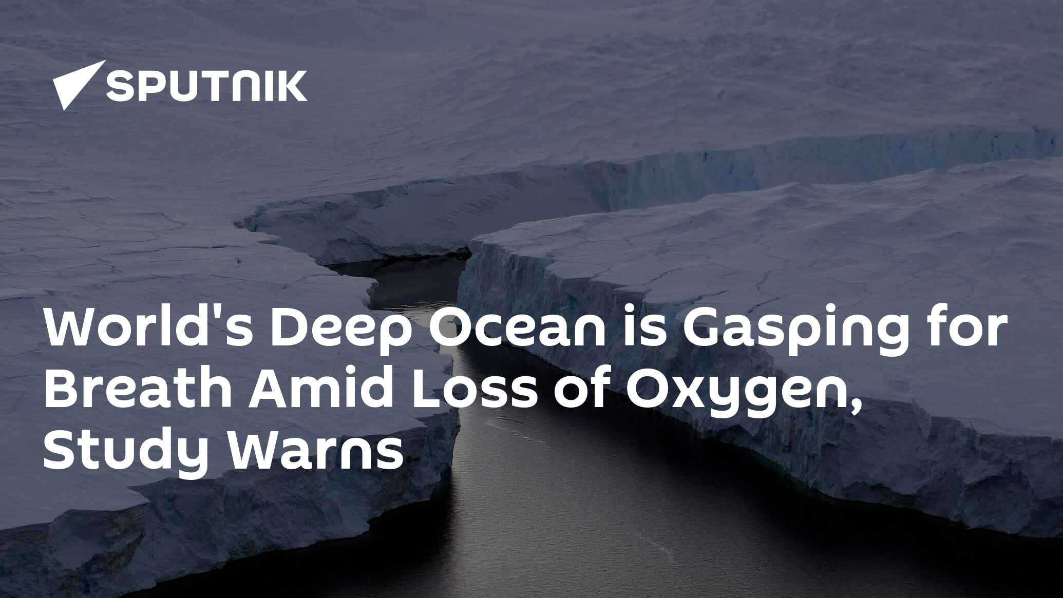 World's Deep Ocean is Gasping For Breath Amid Loss of Oxygen, Study Warns
