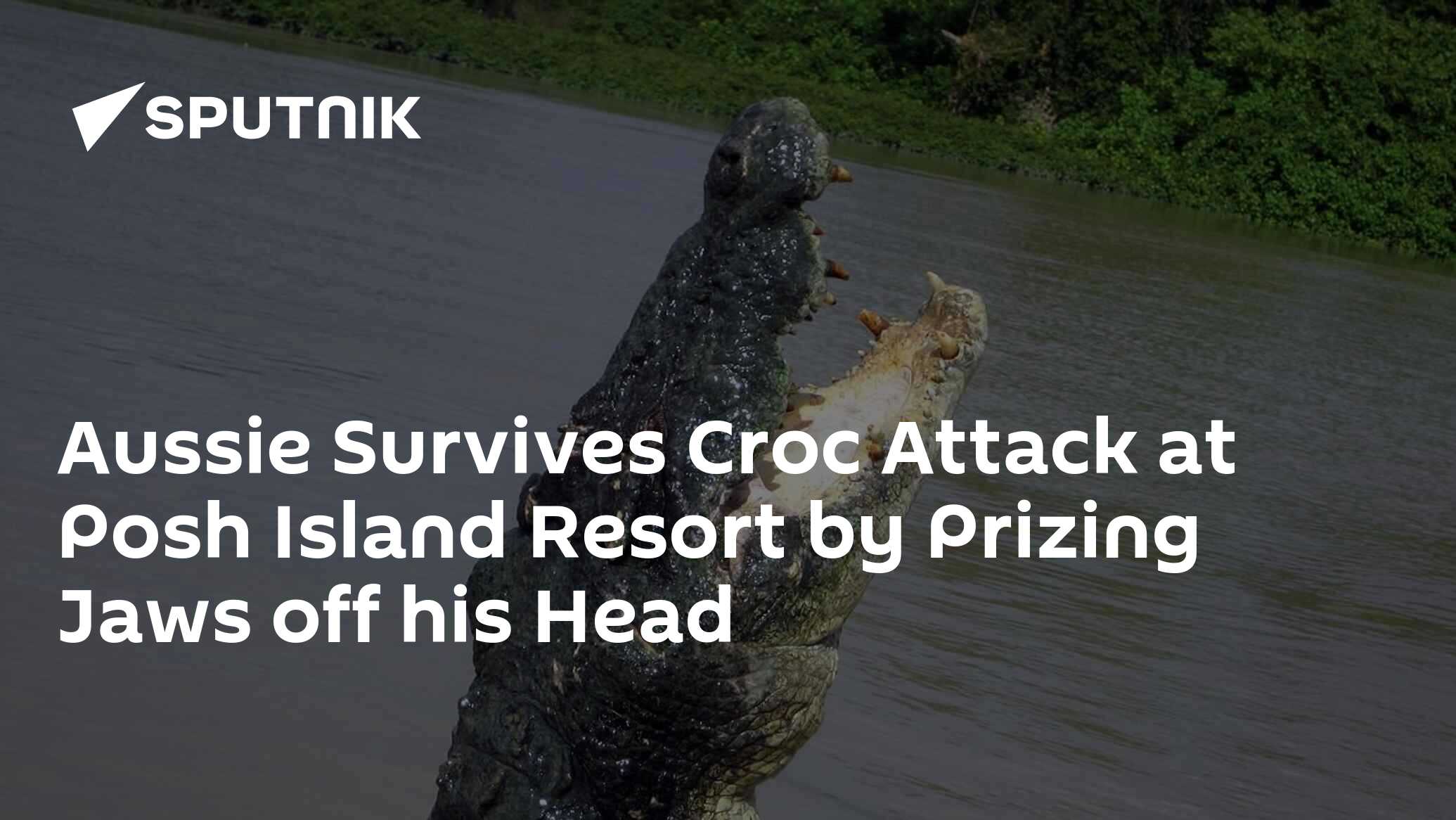 Aussie Survives Croc Attack at Posh Island Resort by Prizing Jaws off ...