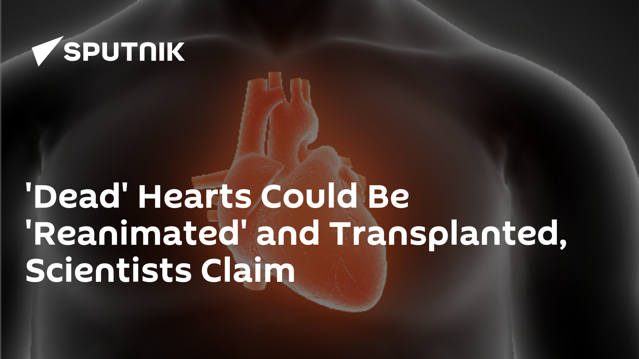 'Dead' Hearts Could Be 'Reanimated' and Transplanted