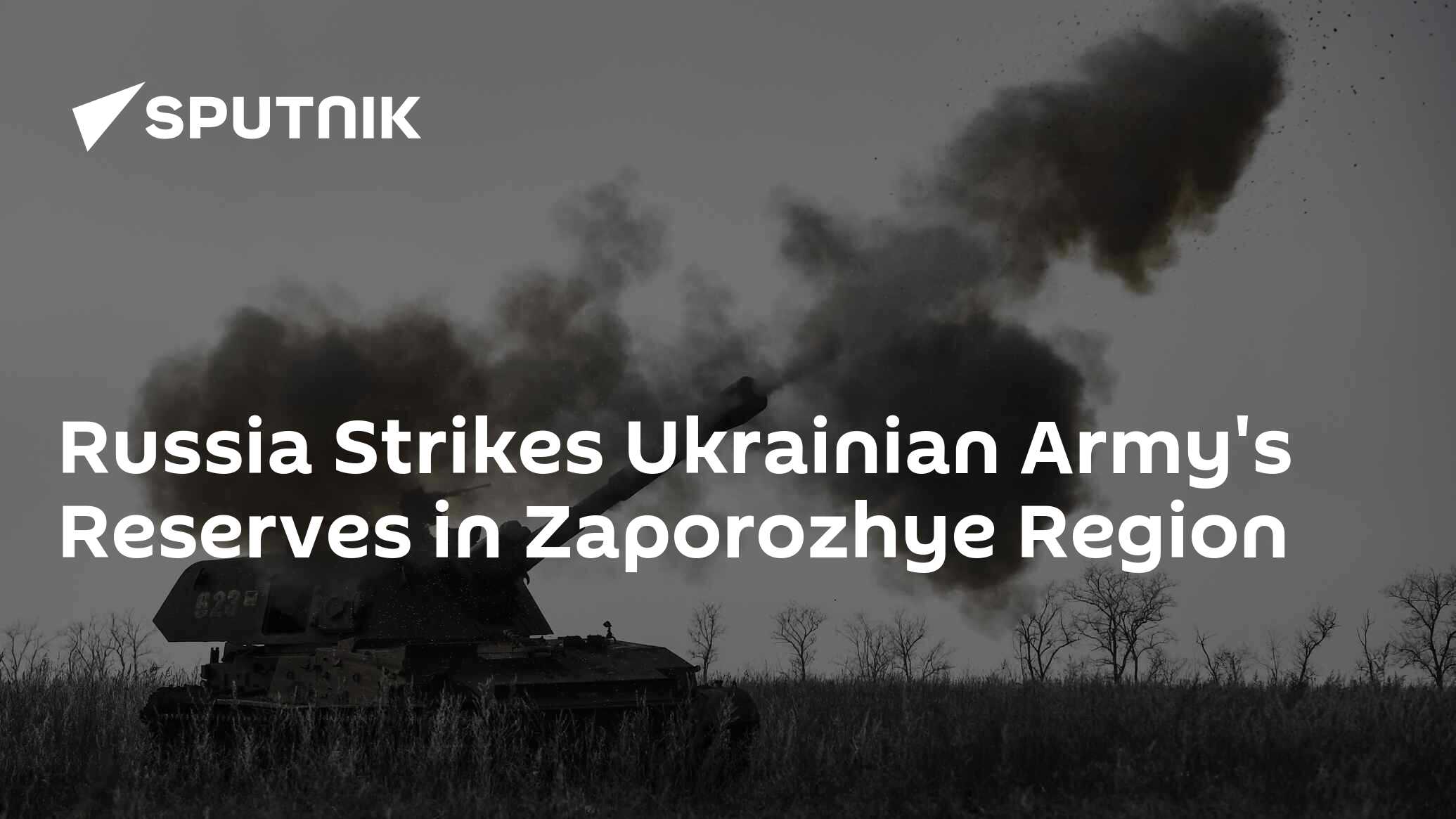 Russia Strikes Ukrainian Army's Reserves in Zaporozhye Region - Official