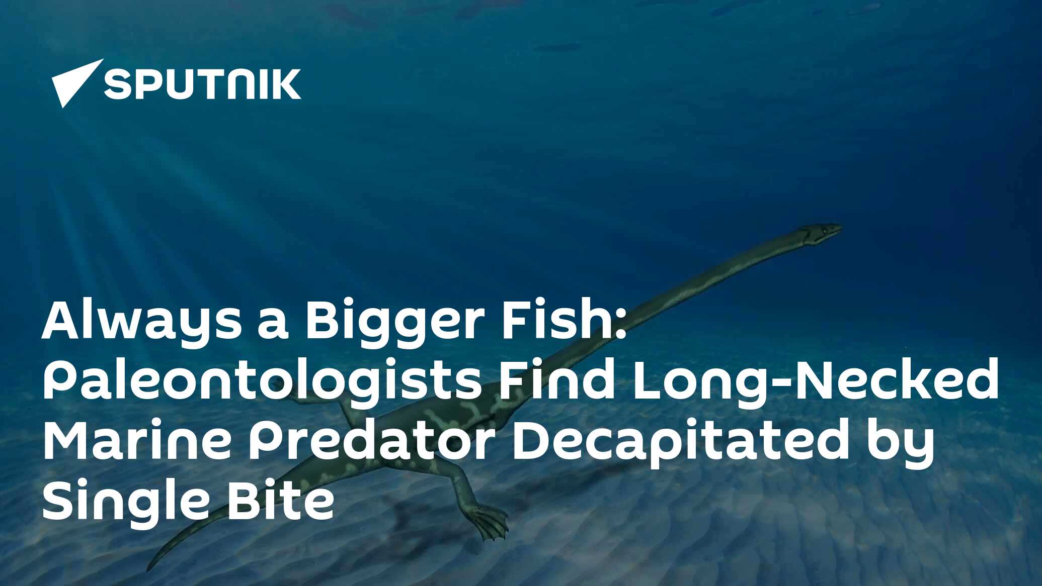 Paleontologists Find Long-Necked Marine Predator Decapitated by Single Bite