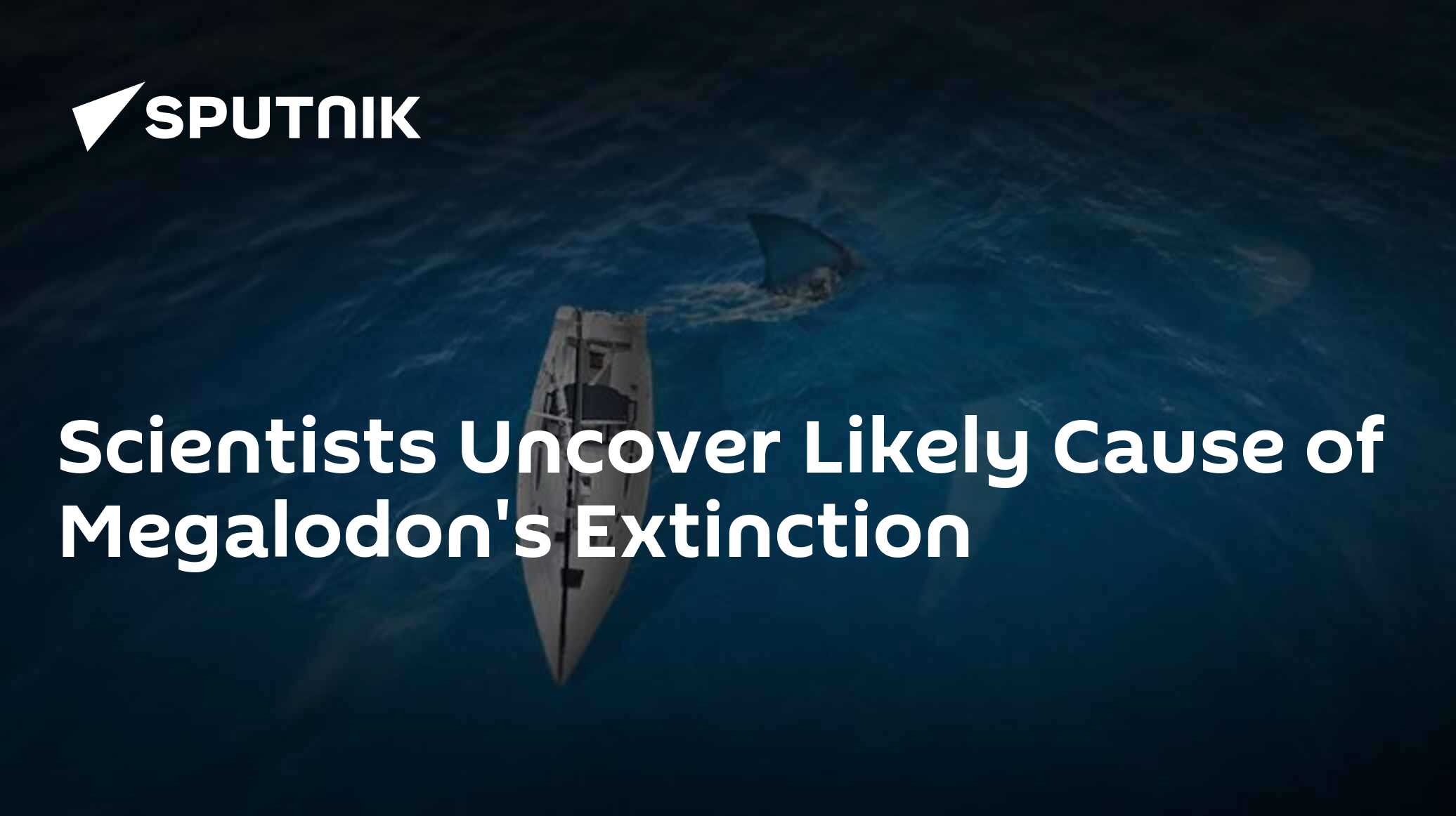 Scientists Uncover Likely Cause of Megalodon's Extinction