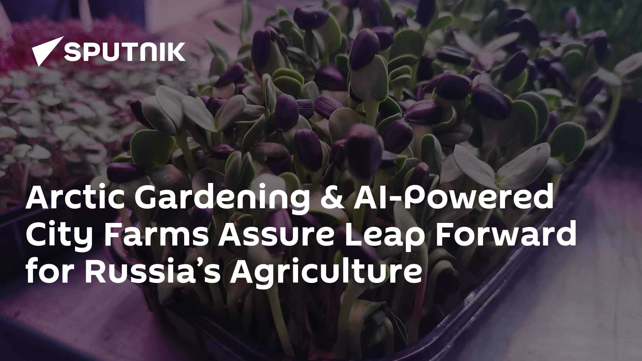 Arctic Gardening & AI-Powered City Farms Assure Leap Forward for Russia ...