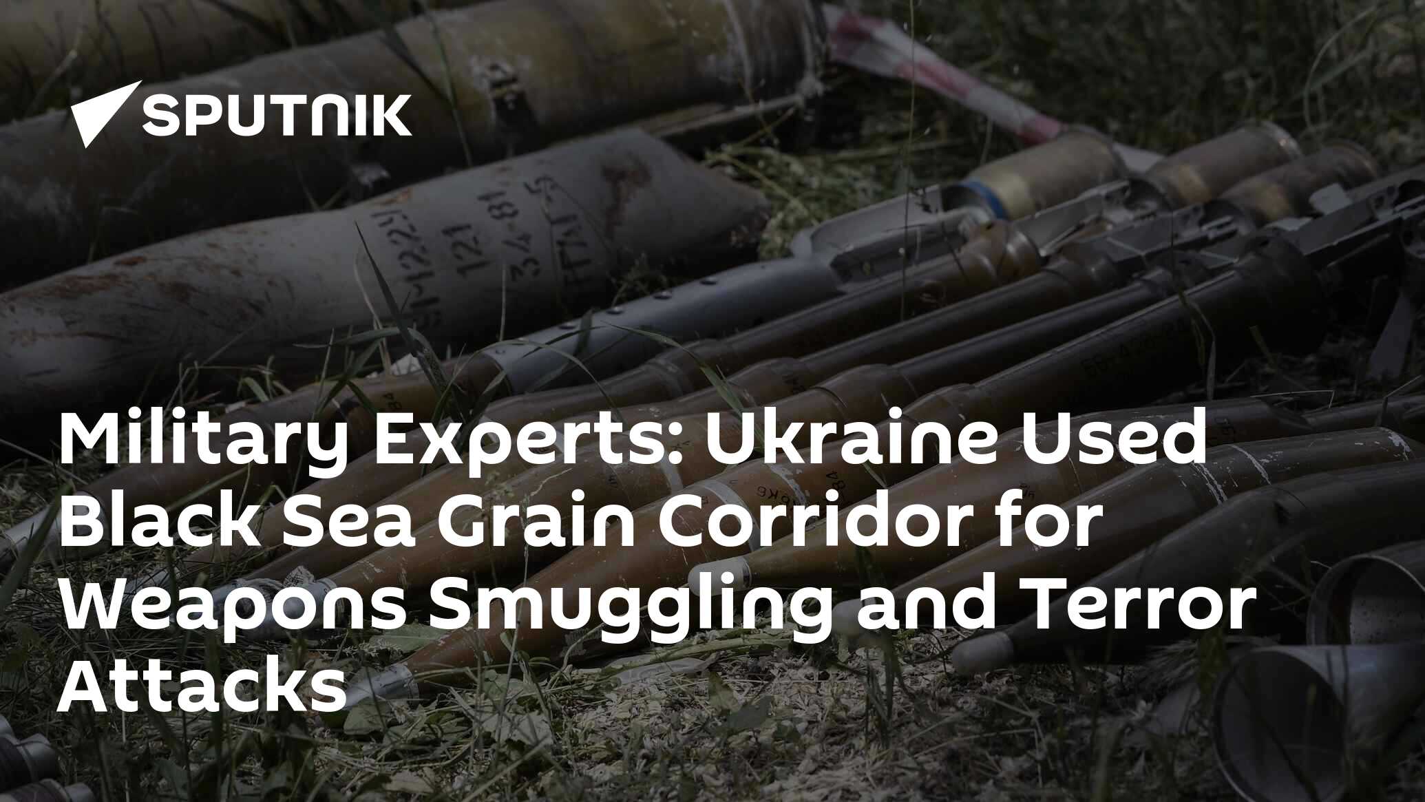 Military Experts: Ukraine Used Black Sea Grain Corridor for Weapons ...