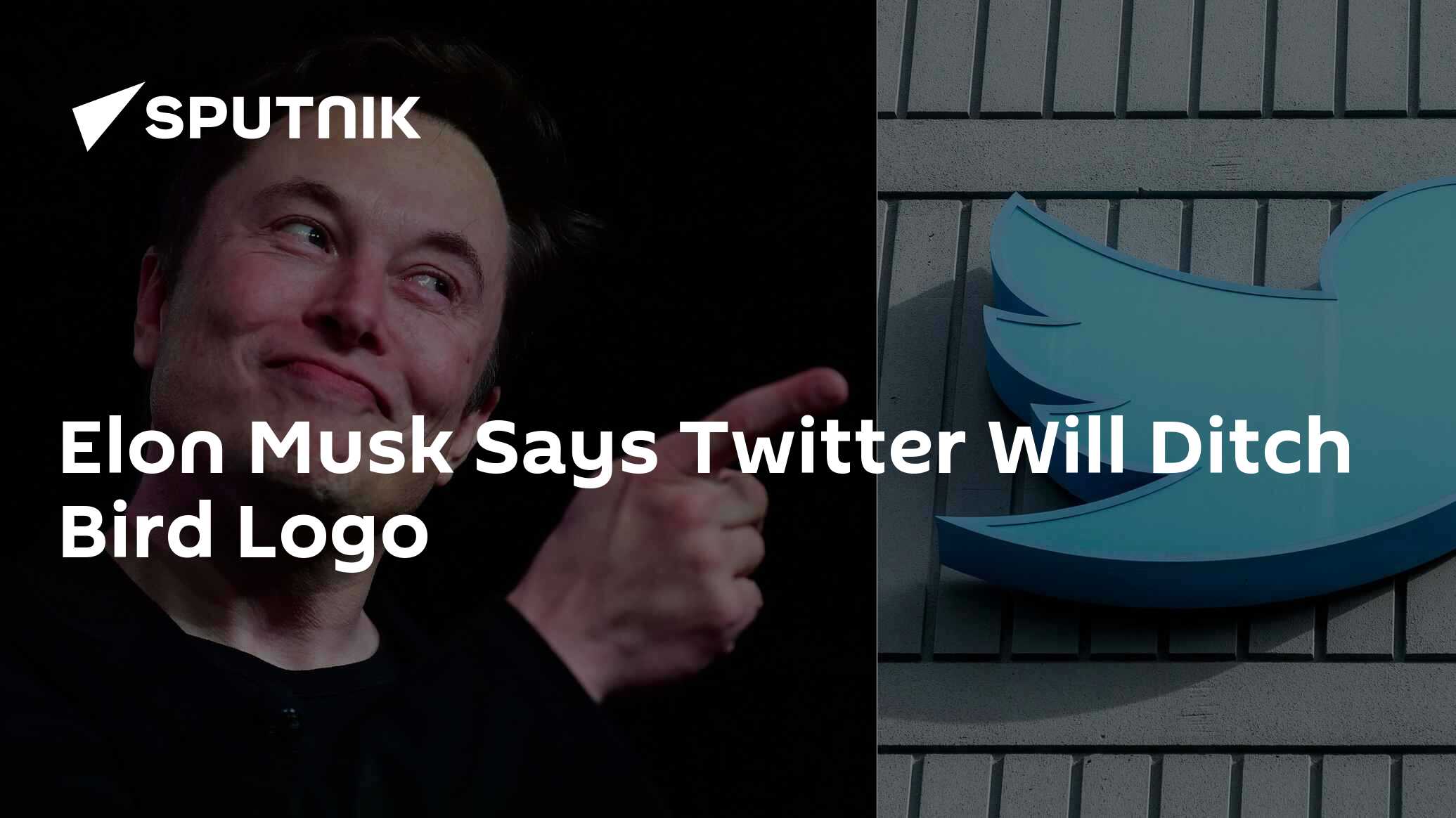 Elon Musk Says Twitter Will Ditch Bird Logo - South Africa Today