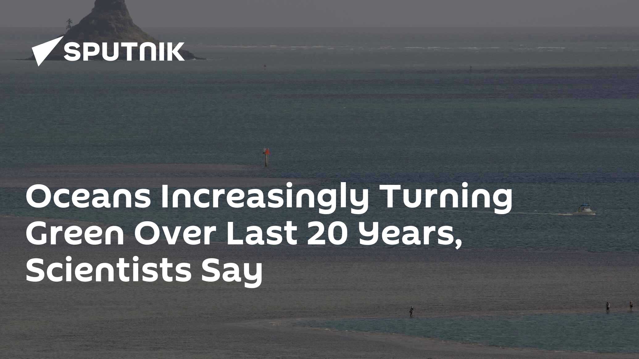Oceans Have Been Greening Over last 20 years, Scientists Say