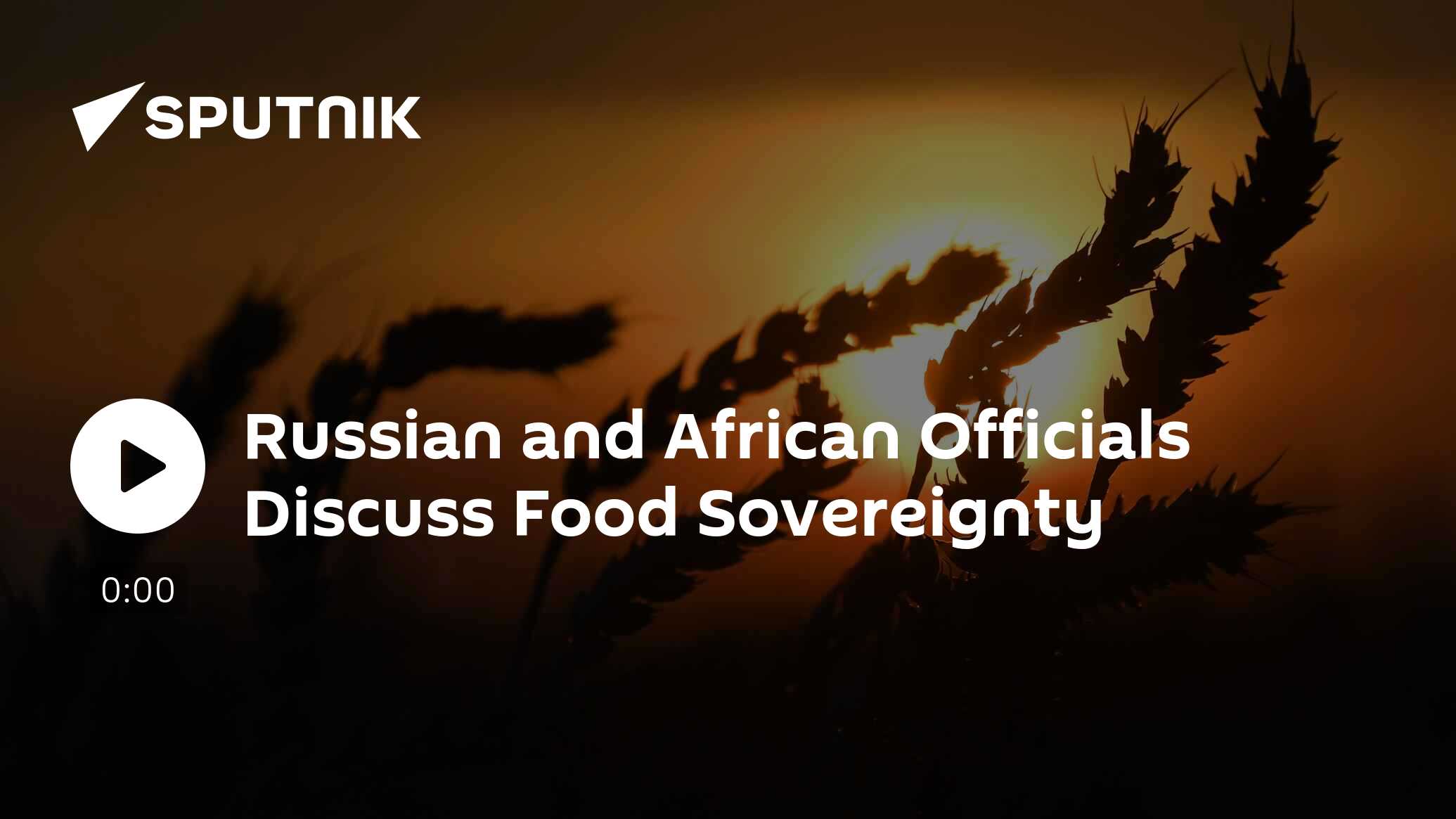 Russian and African Officials Discuss Food Sovereignty