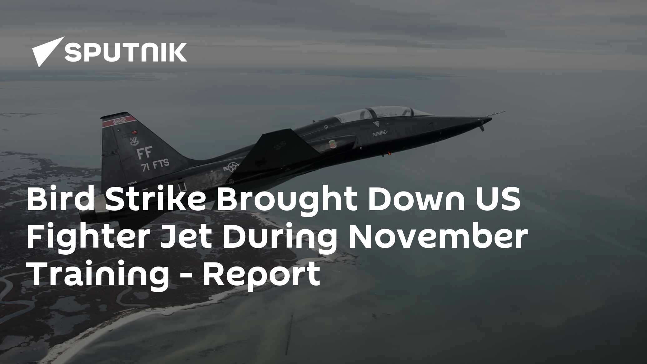 US Fighter Jet Crashed Due To Collision With a Bird