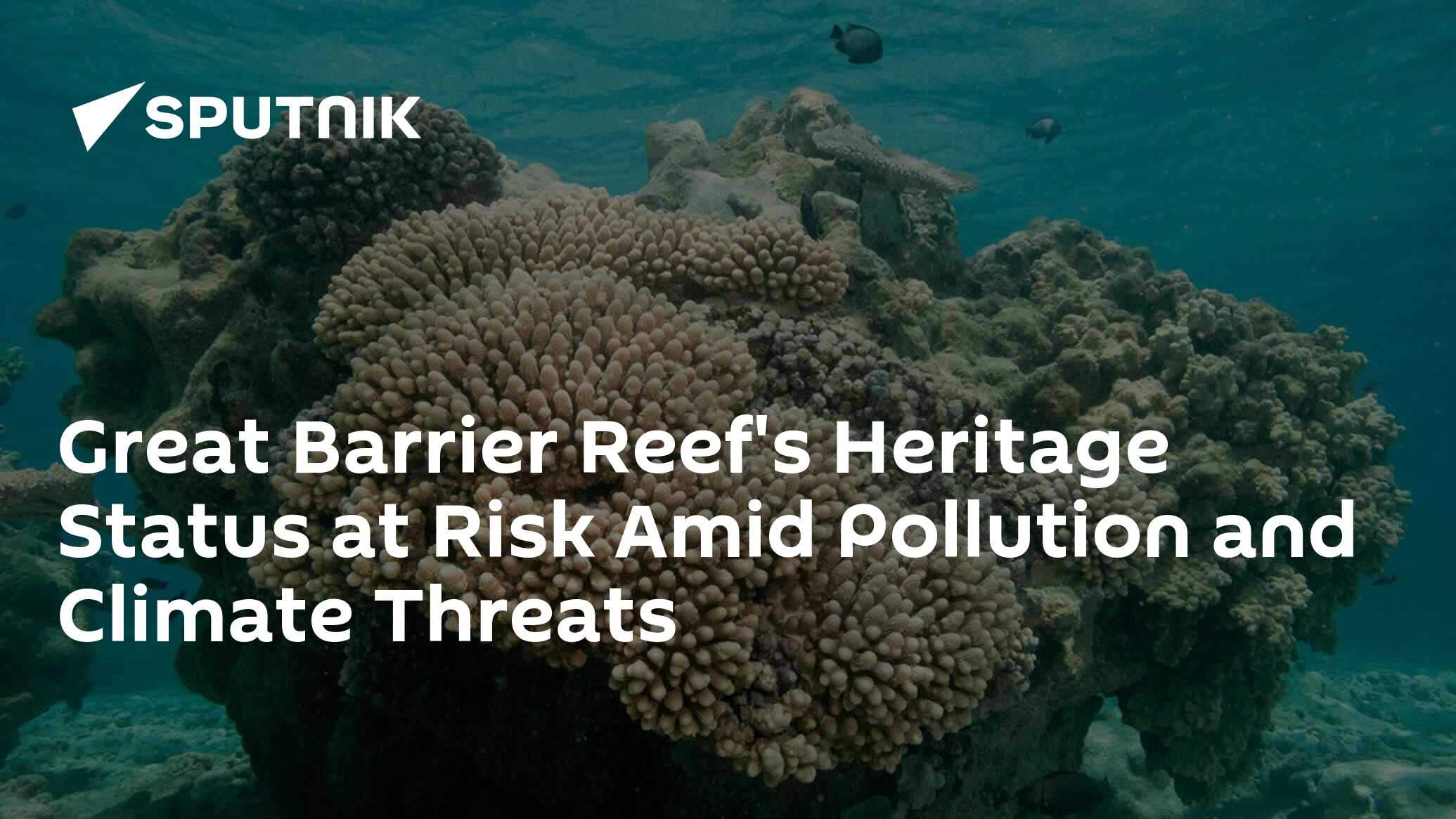 Great Barrier Reef's Heritage Status at Risk Amid Pollution and Climate Threats