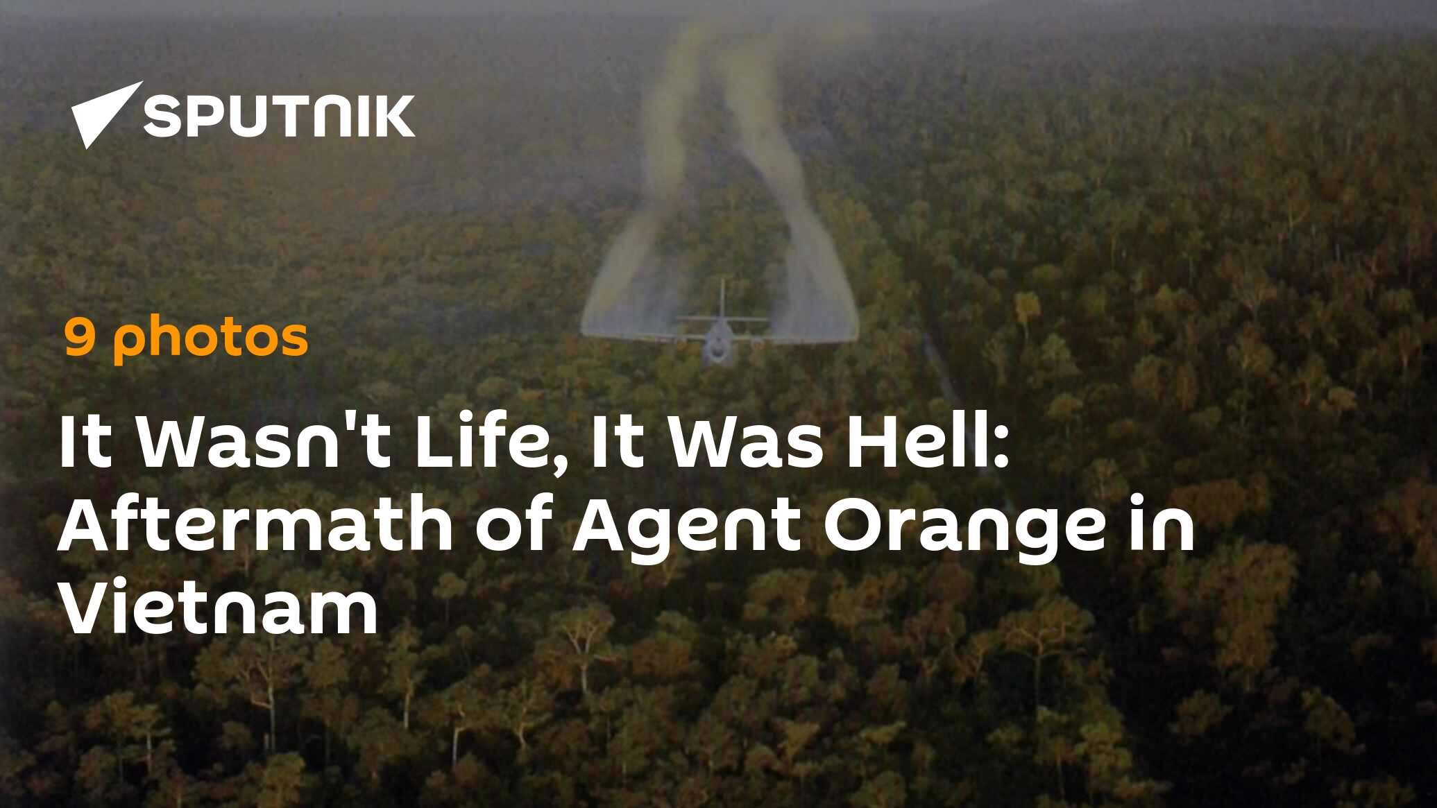 It Wasn't Life, It Was Hell: Aftermath of Using Agent Orange in Vietnam