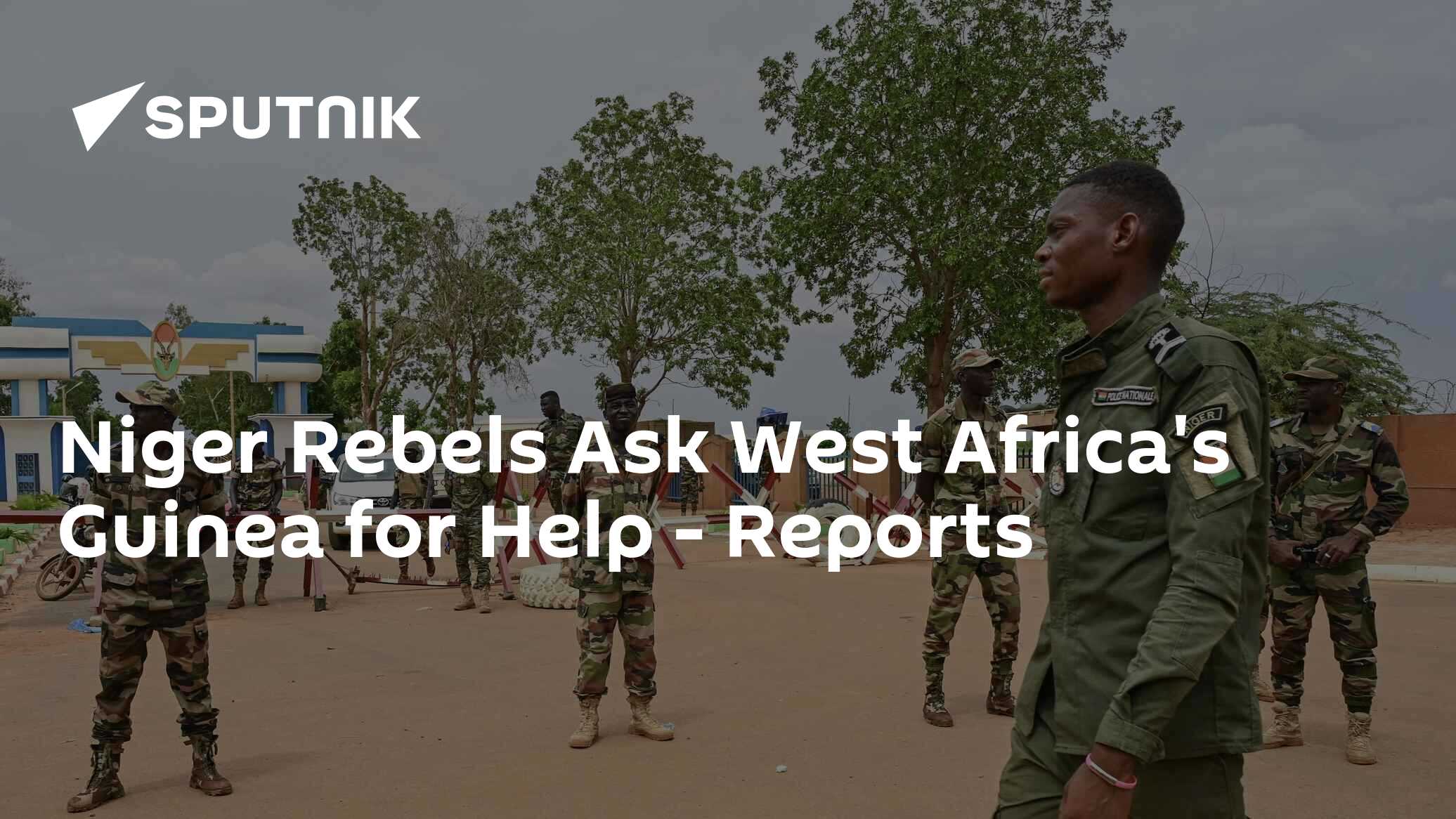 Niger Rebels Ask West Africa's Guinea for Help - Reports - South Africa ...