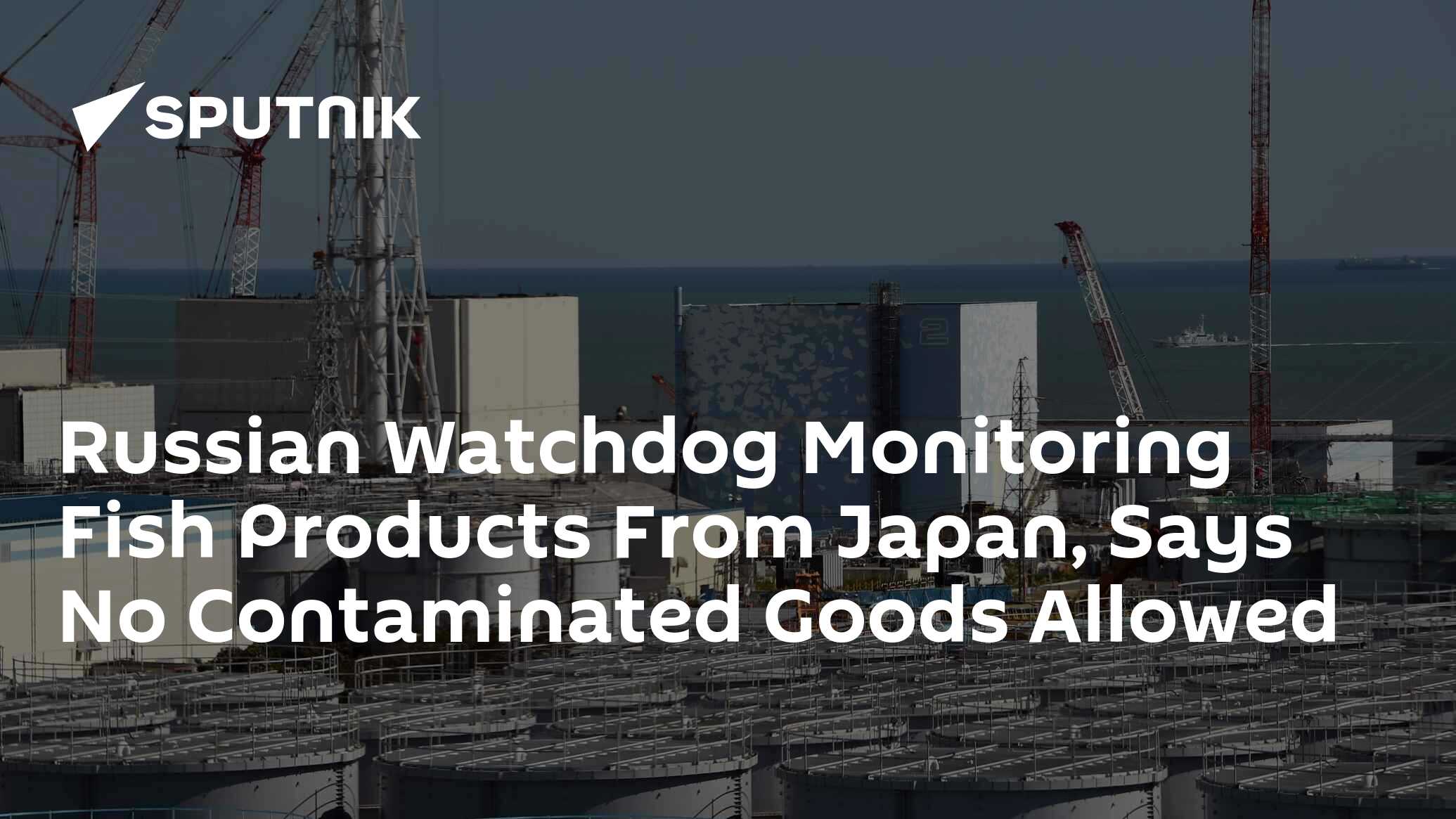 Russian Watchdog Monitoring Fish Products From Japan, Says No ...
