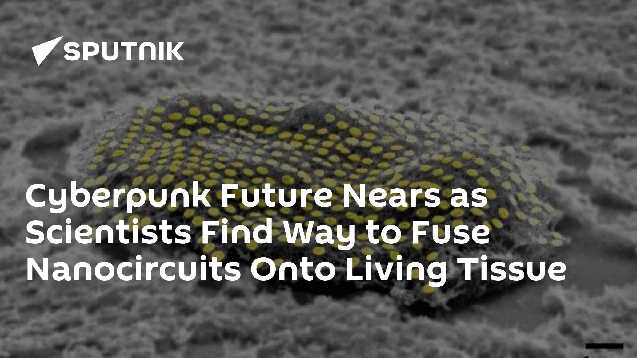 Cyberpunk Future Nears as Scientists Find Way to Fuse Nanocircuits Onto ...