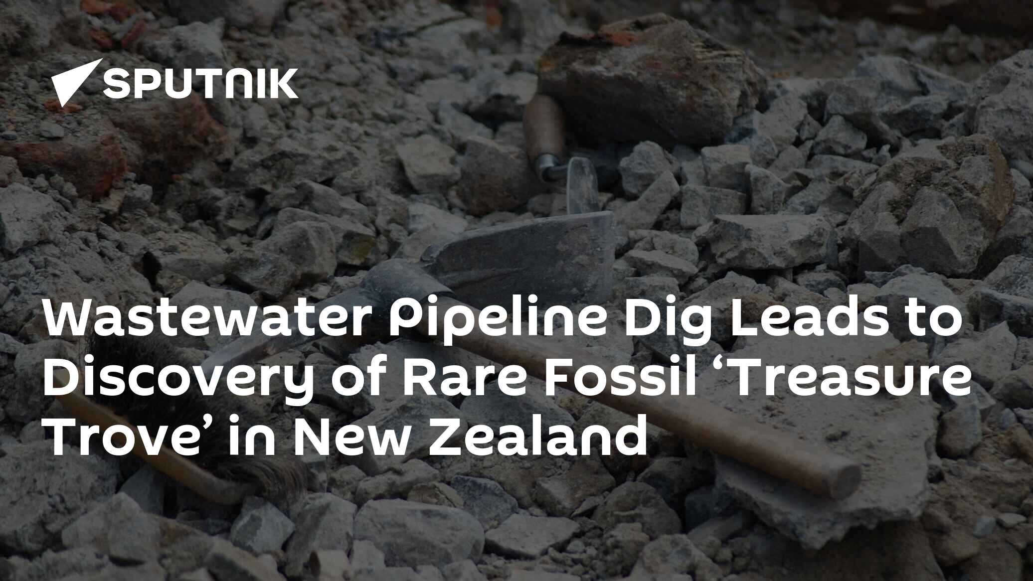 Wastewater Pipeline Dig Leads to Discovery of Rare Fossil ‘Treasure Trove’
