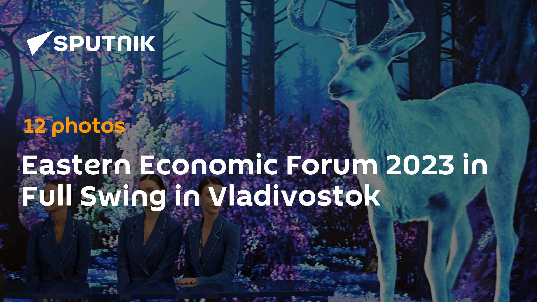 Eastern Economic Forum 2023 in Full Swing in Vladivostok