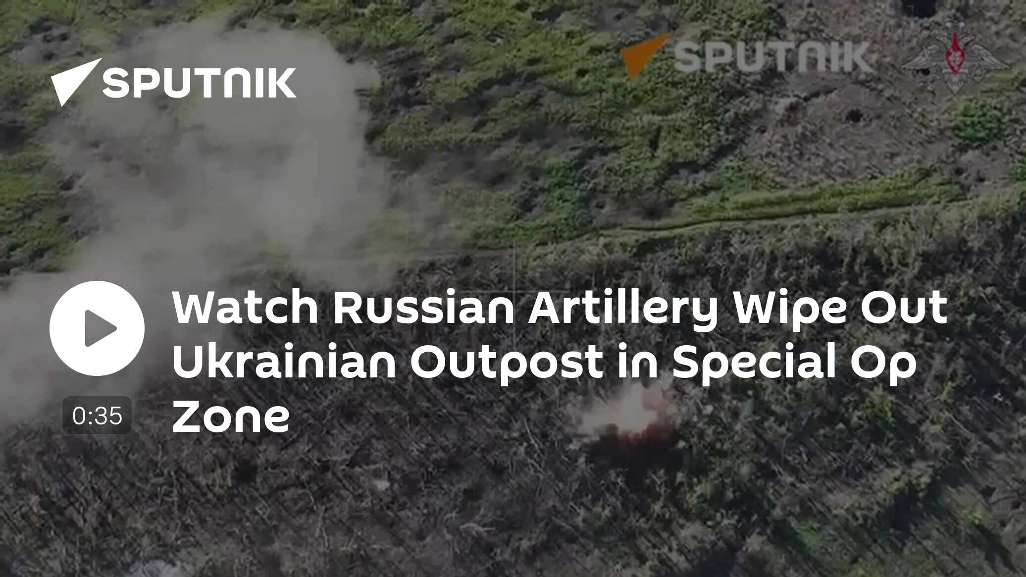 Watch Russian Artillery Wiping Out Ukrainian Outpost in Special Op Zone