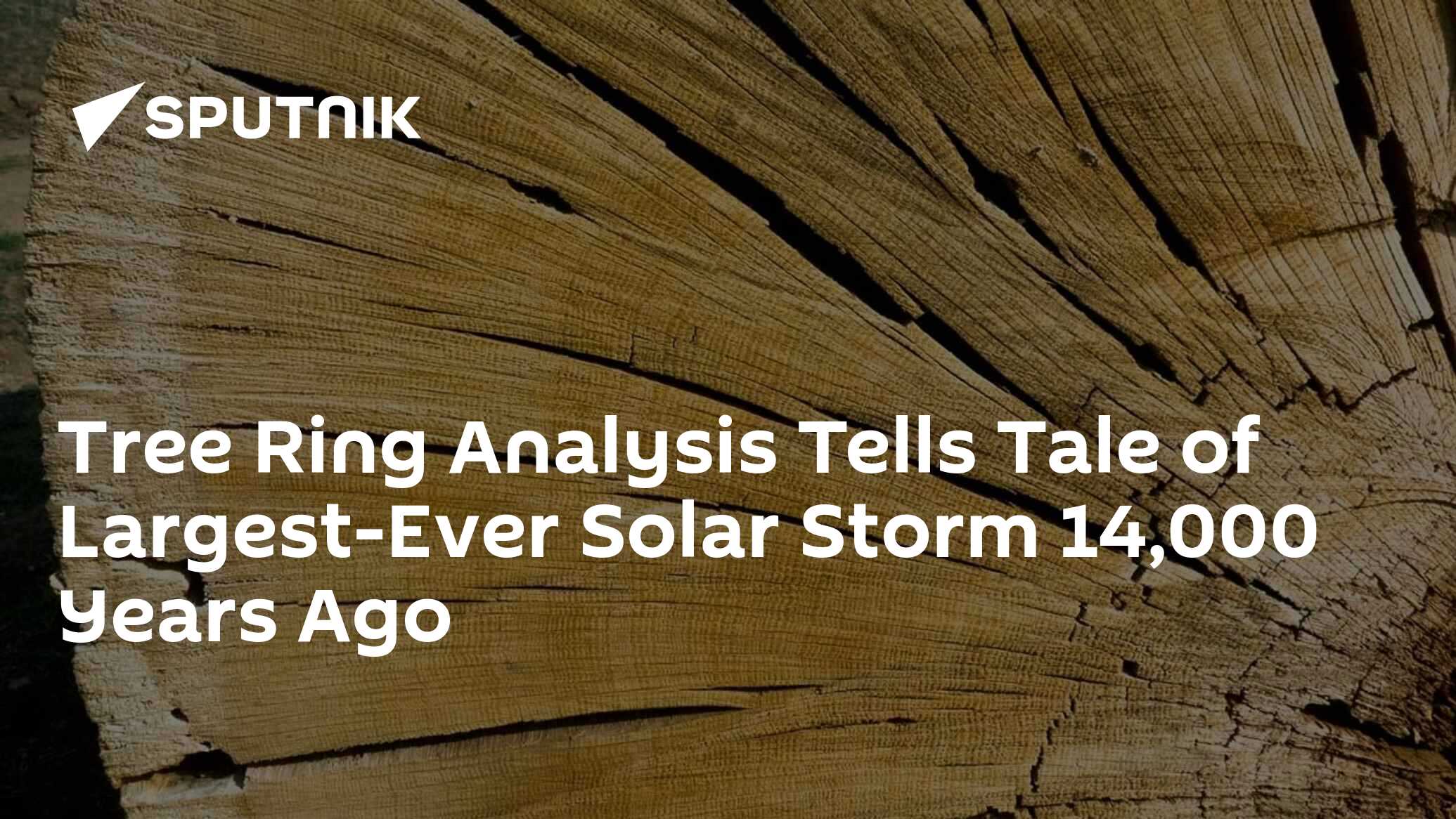 Tree Ring Analysis Tells Tale of Largest-Ever Solar Storm 14,000 Years Ago