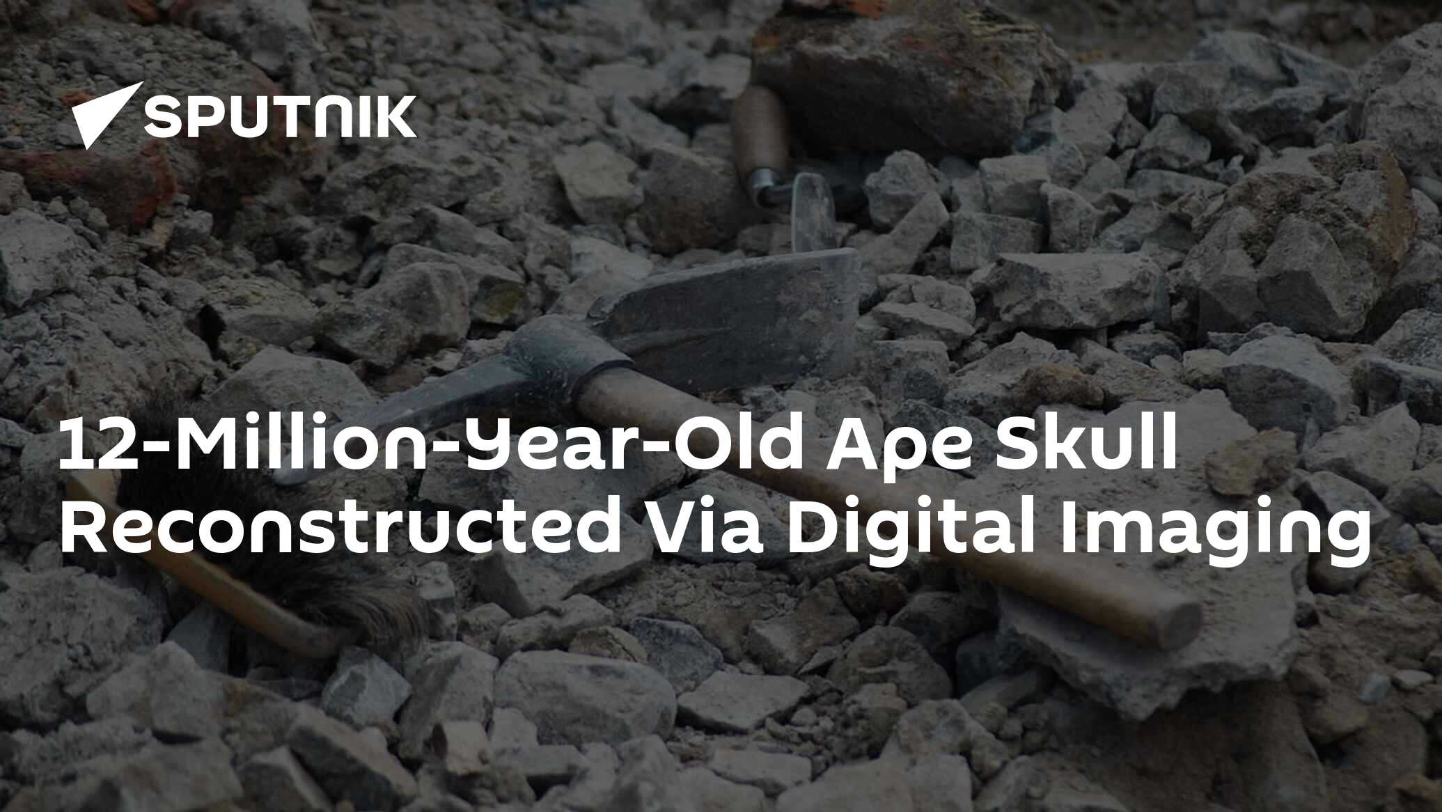 12-Million-Year-Old Ape Skull Reconstructed Via Digital Imaging