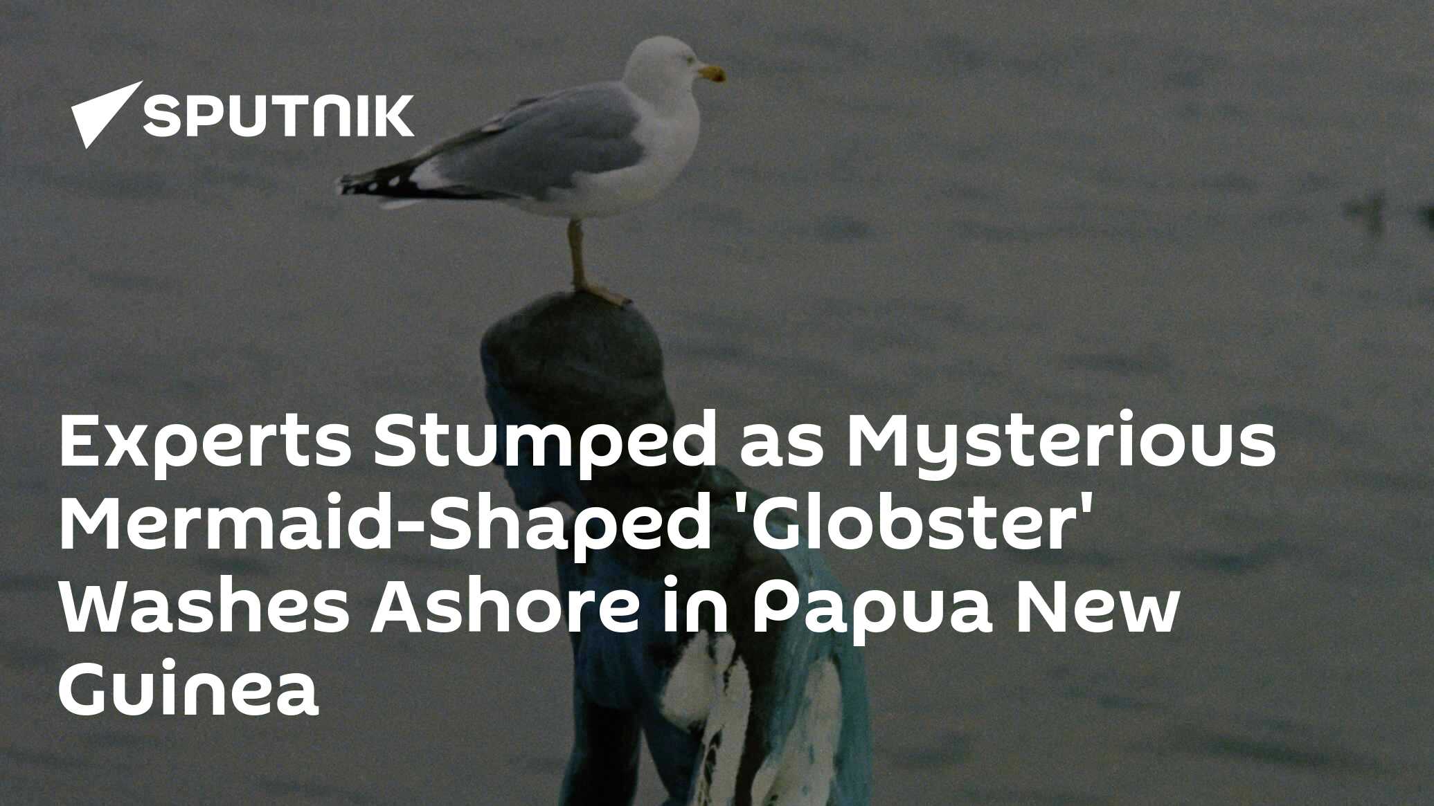 Mysterious Mermaid-Shaped Marine Remains Wash Ashore Papua New Guinea