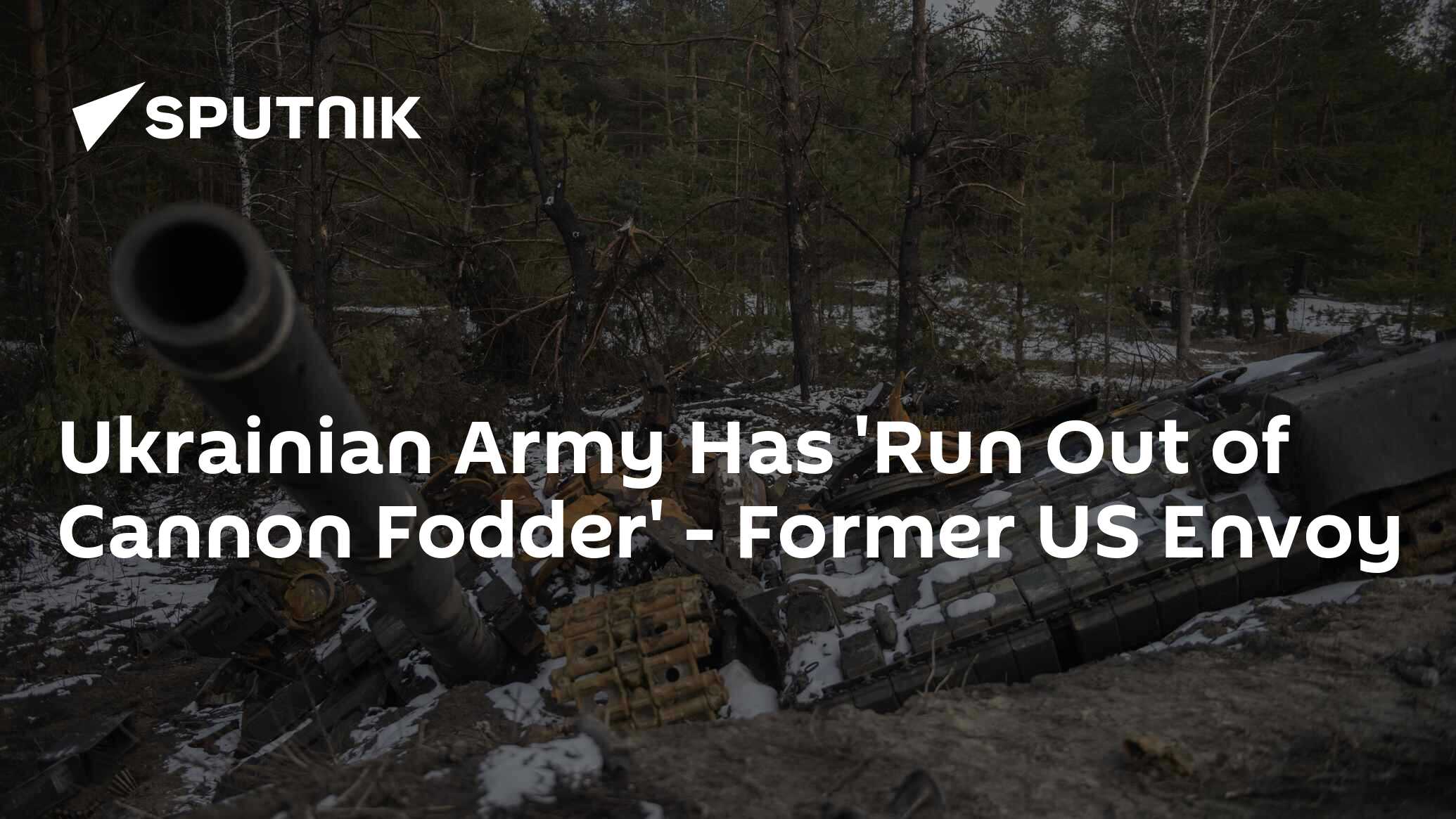 Ukrainian Army Has 'Run Out of Cannon Fodder' - Former US Envoy
