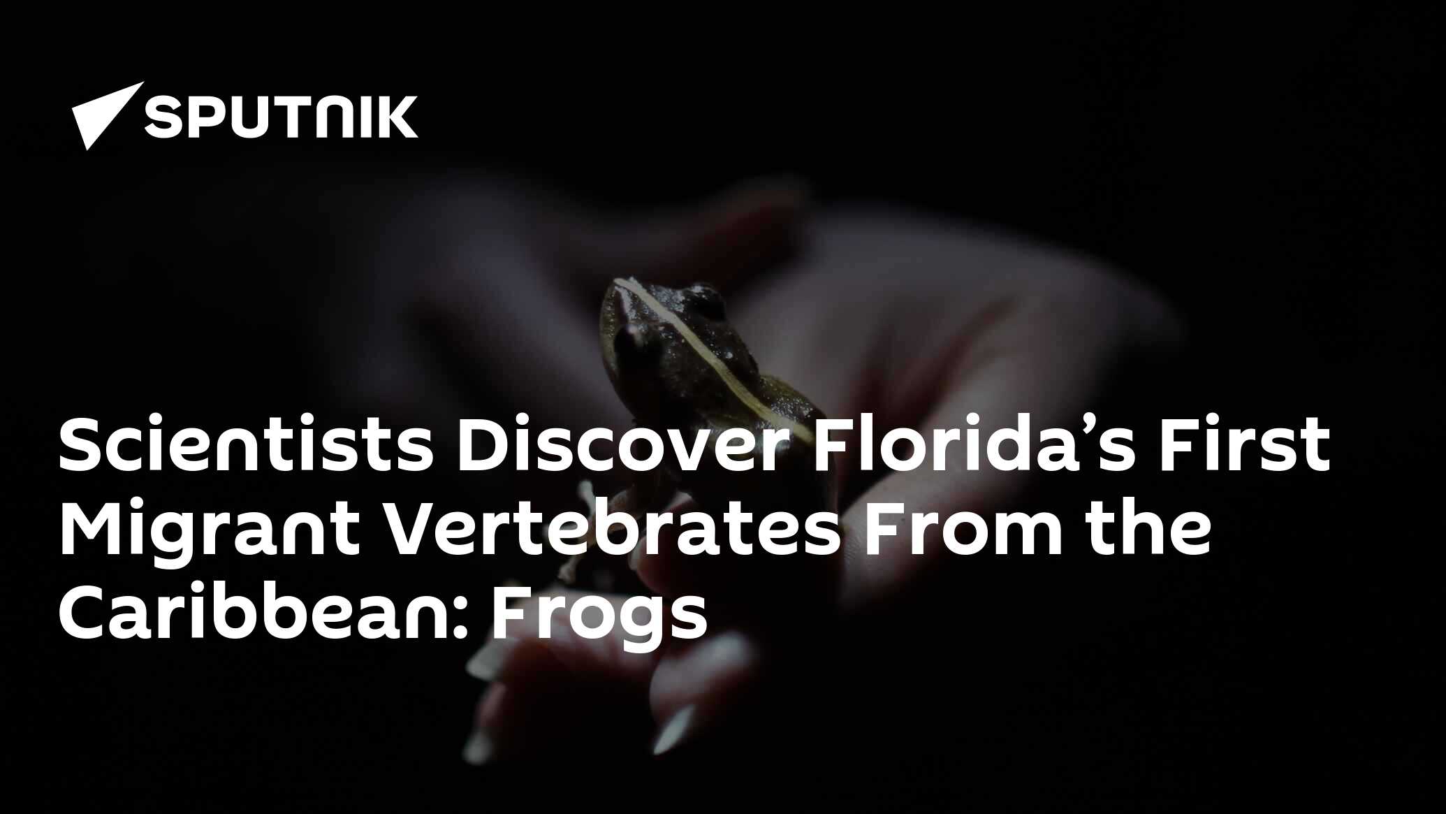 Scientists Discover Florida’s First Migrant Vertebrates From The Caribbeans