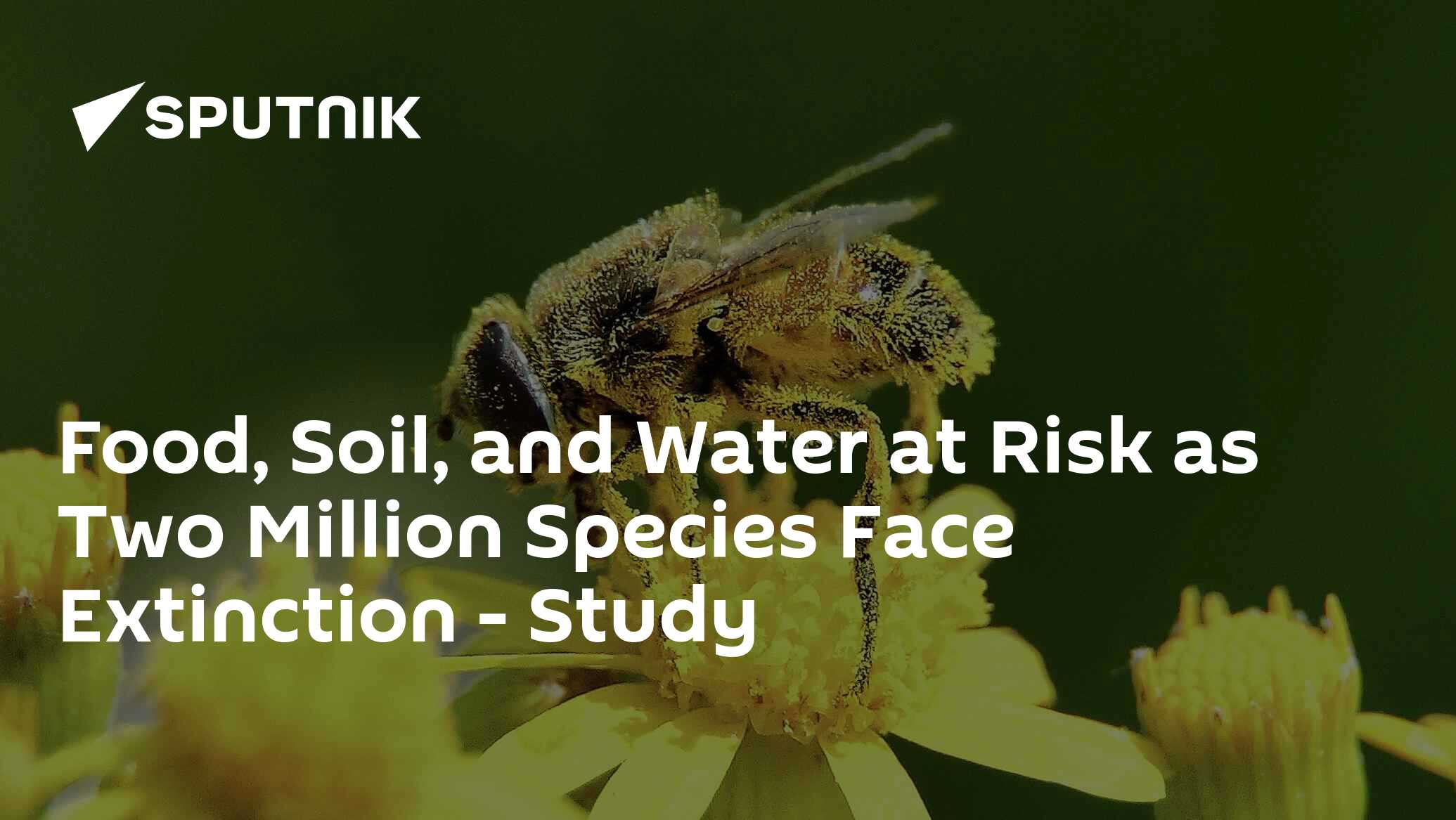 Food, Soil, and Water at Risk as Two Million Species Face Extinction ...