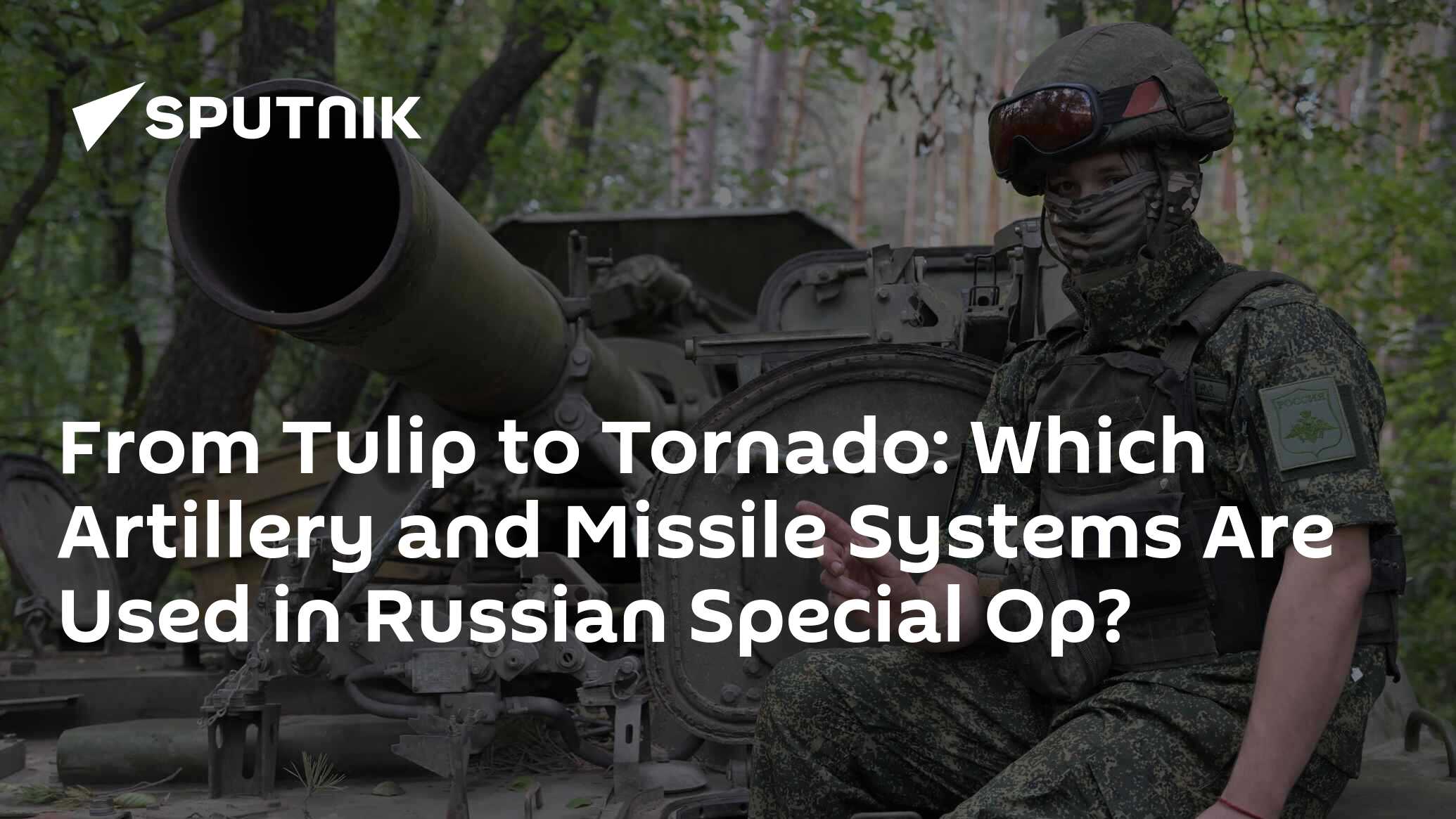 From Tulip to Tornado: Which Artillery and Missile Systems Are Used in ...
