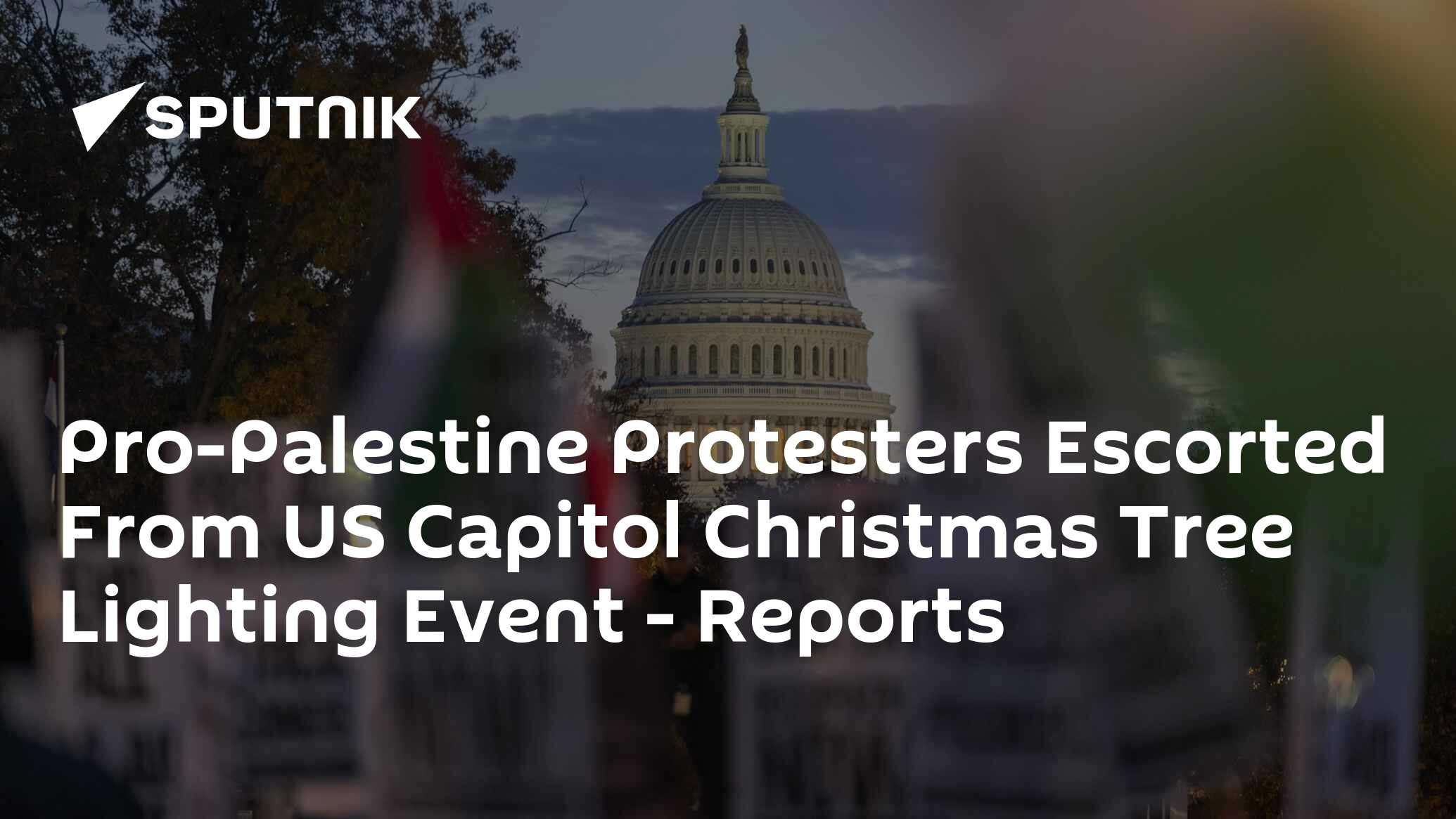 Pro-Palestine Protesters Escorted From US Capitol Christmas Tree ...
