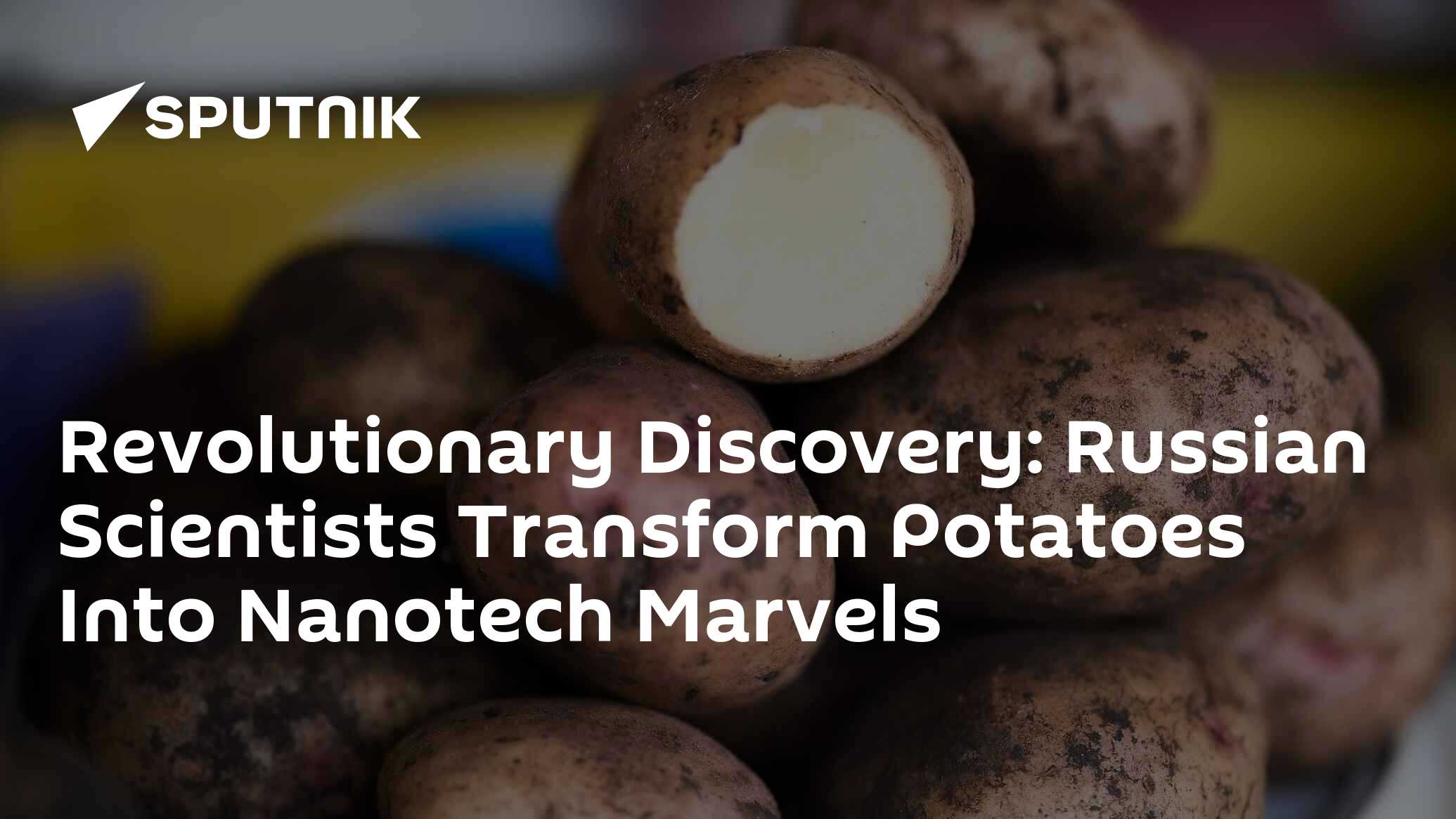 Revolutionary Discovery: Russian Scientists Transform Potatoes Into ...