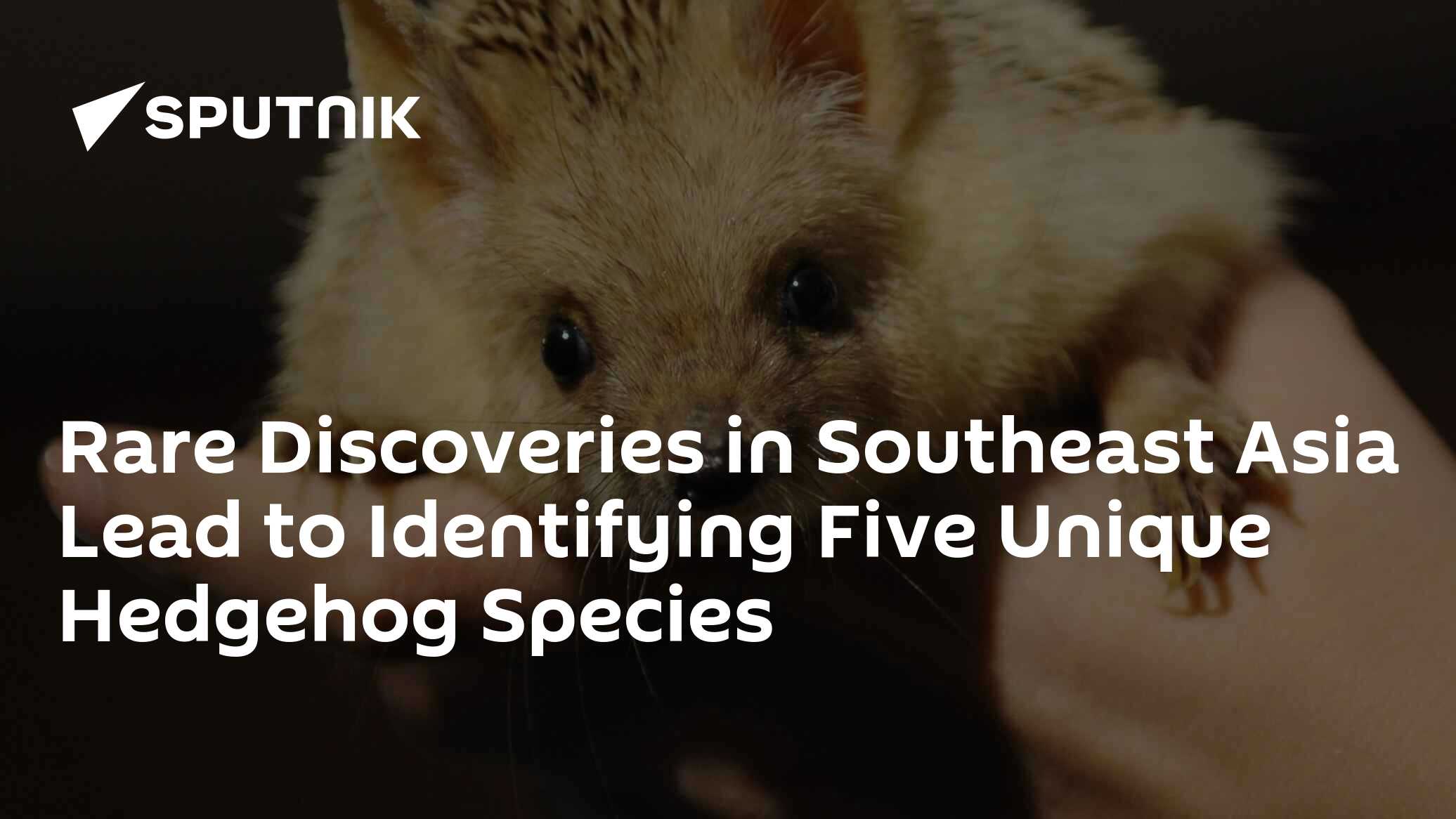 Rare Discoveries in Southeast Asia Lead to Identifying Five Unique ...