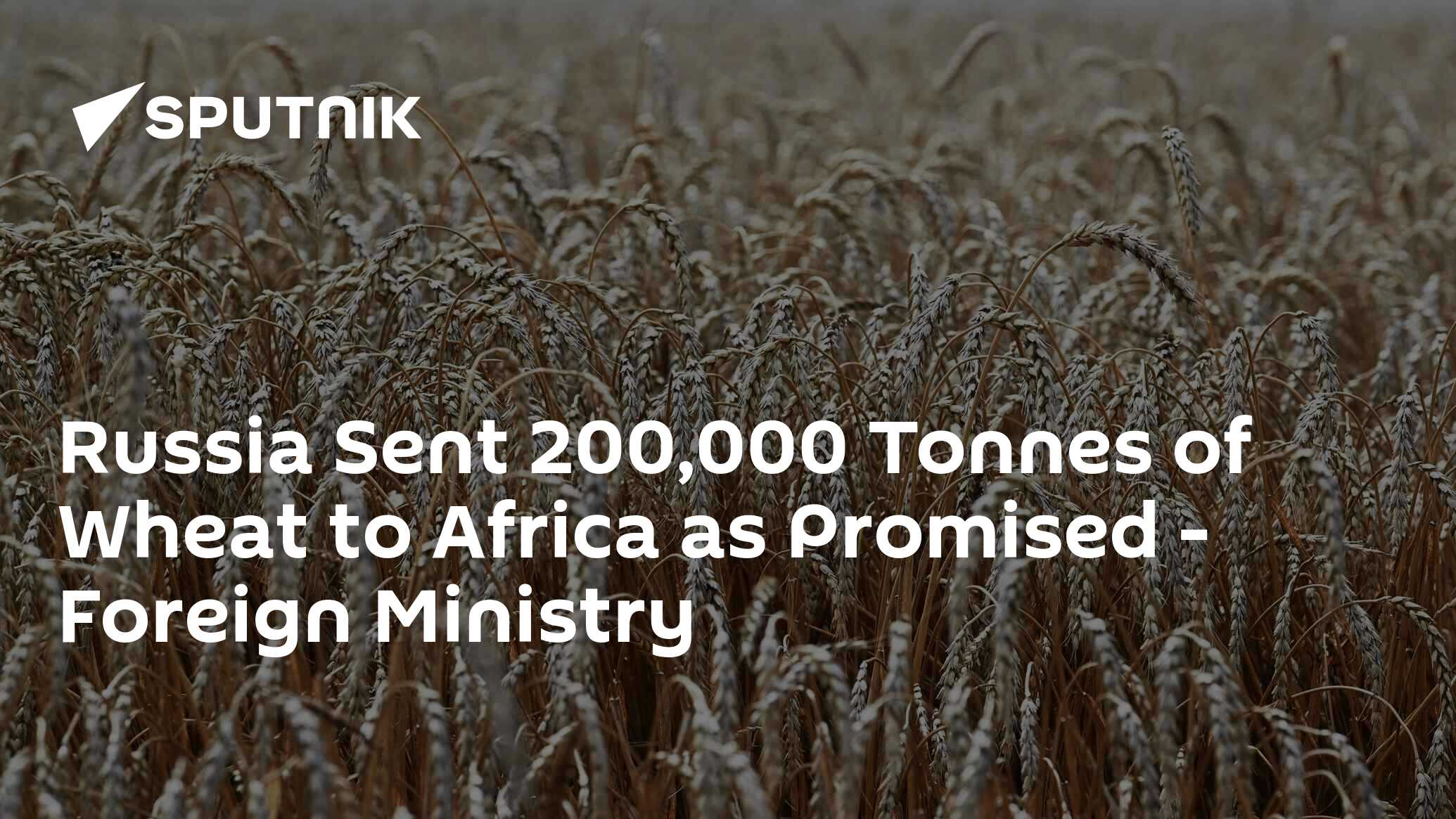 Russia Sent 200,000 Tonnes of Wheat to Africa as Promised - Foreign ...
