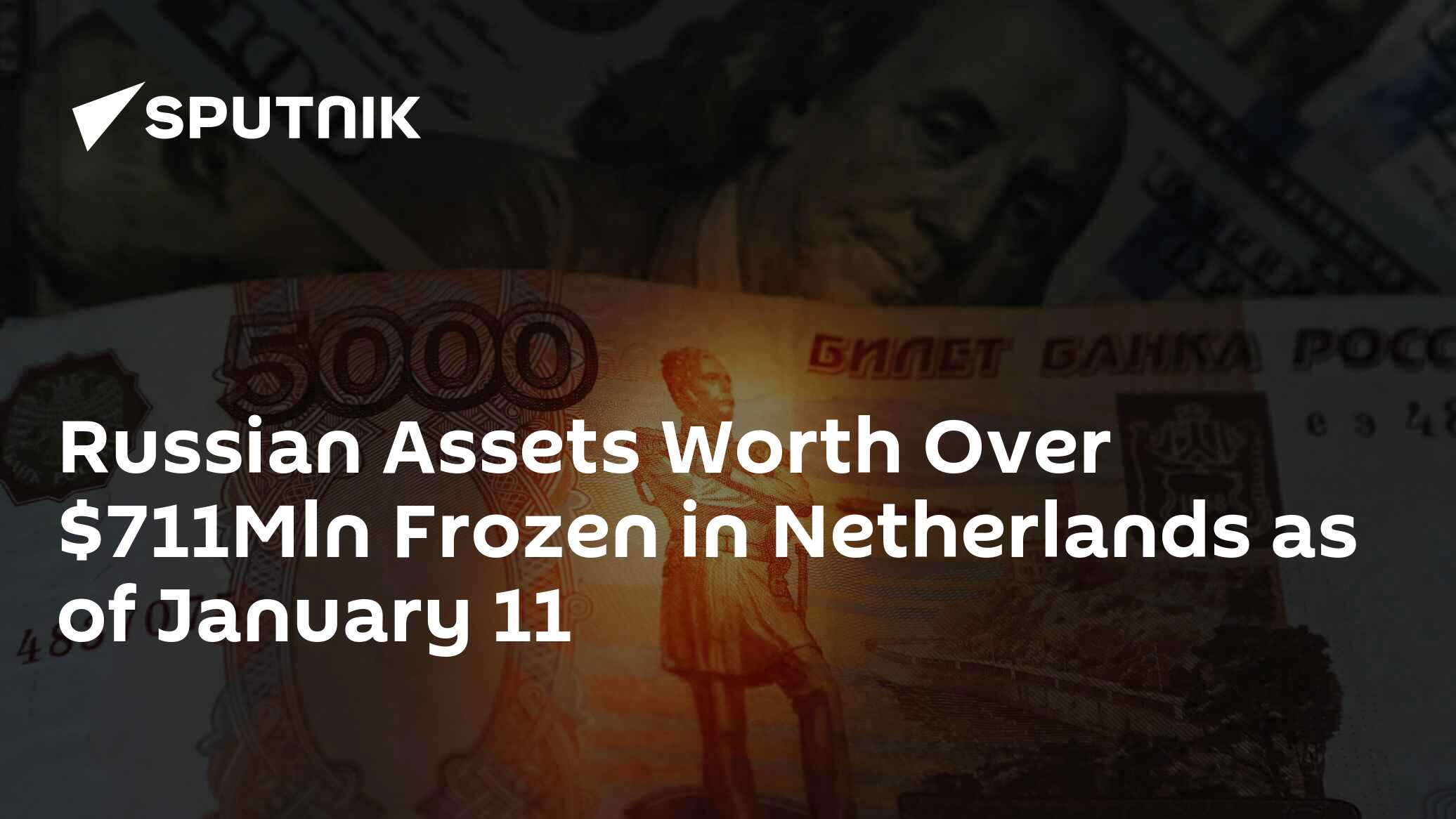 Russian Assets Worth Over $711Mln Frozen in Netherlands as of January 11