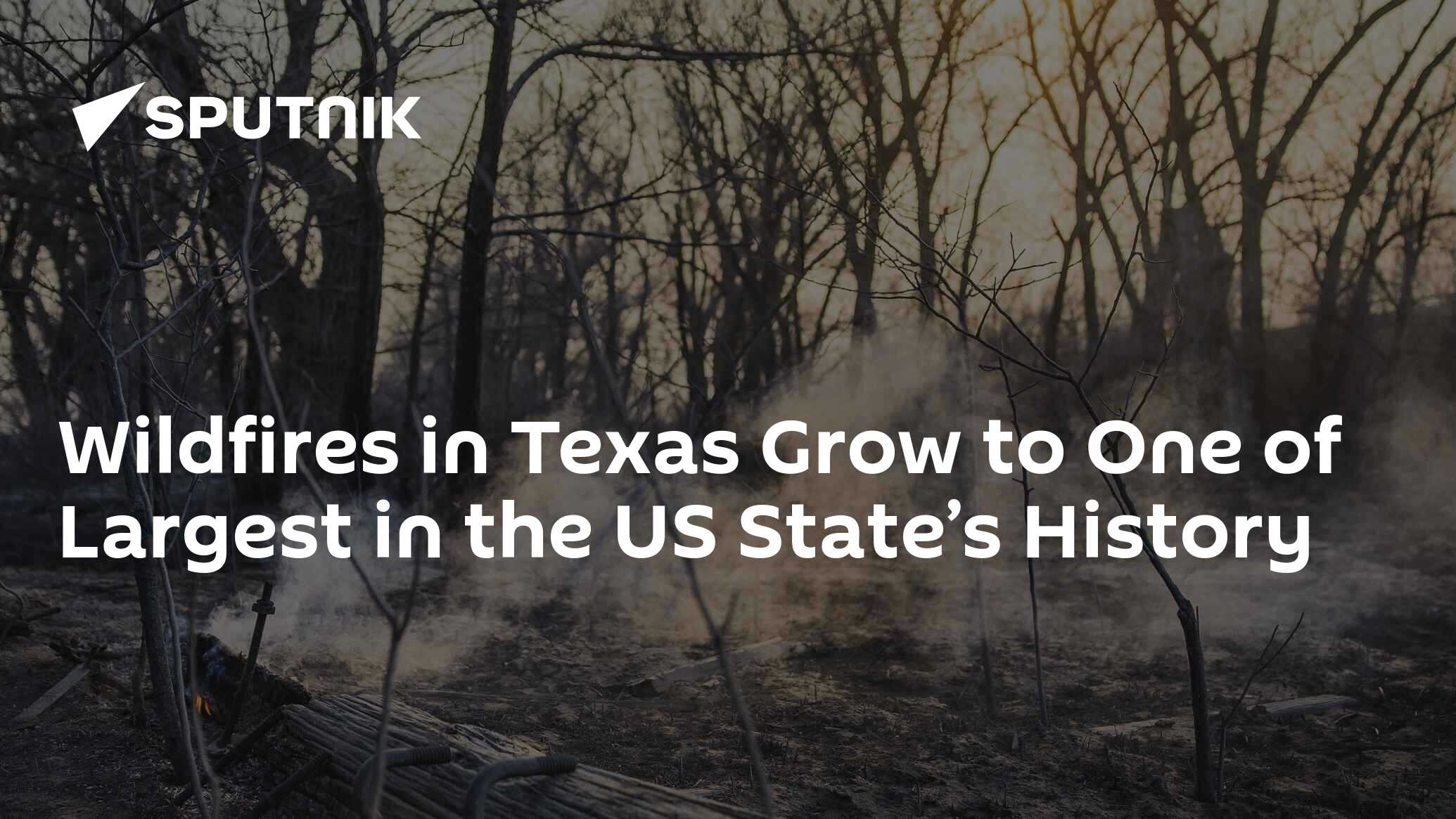 Wildfires in Texas Grow to One of Largest in the US State’s History