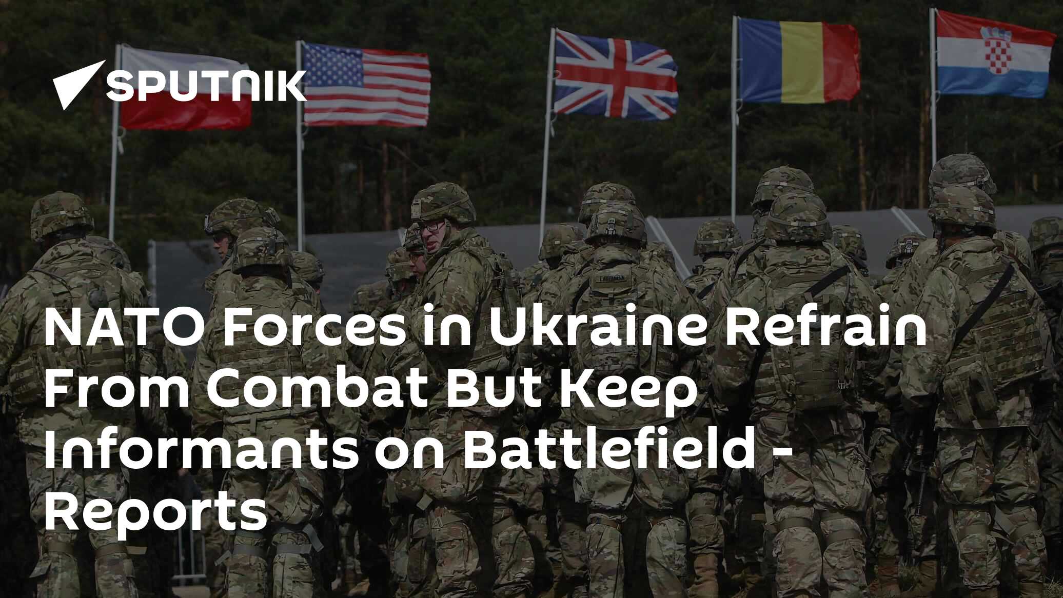 NATO Forces in Ukraine Refrain From Combat But Keep Informants on ...