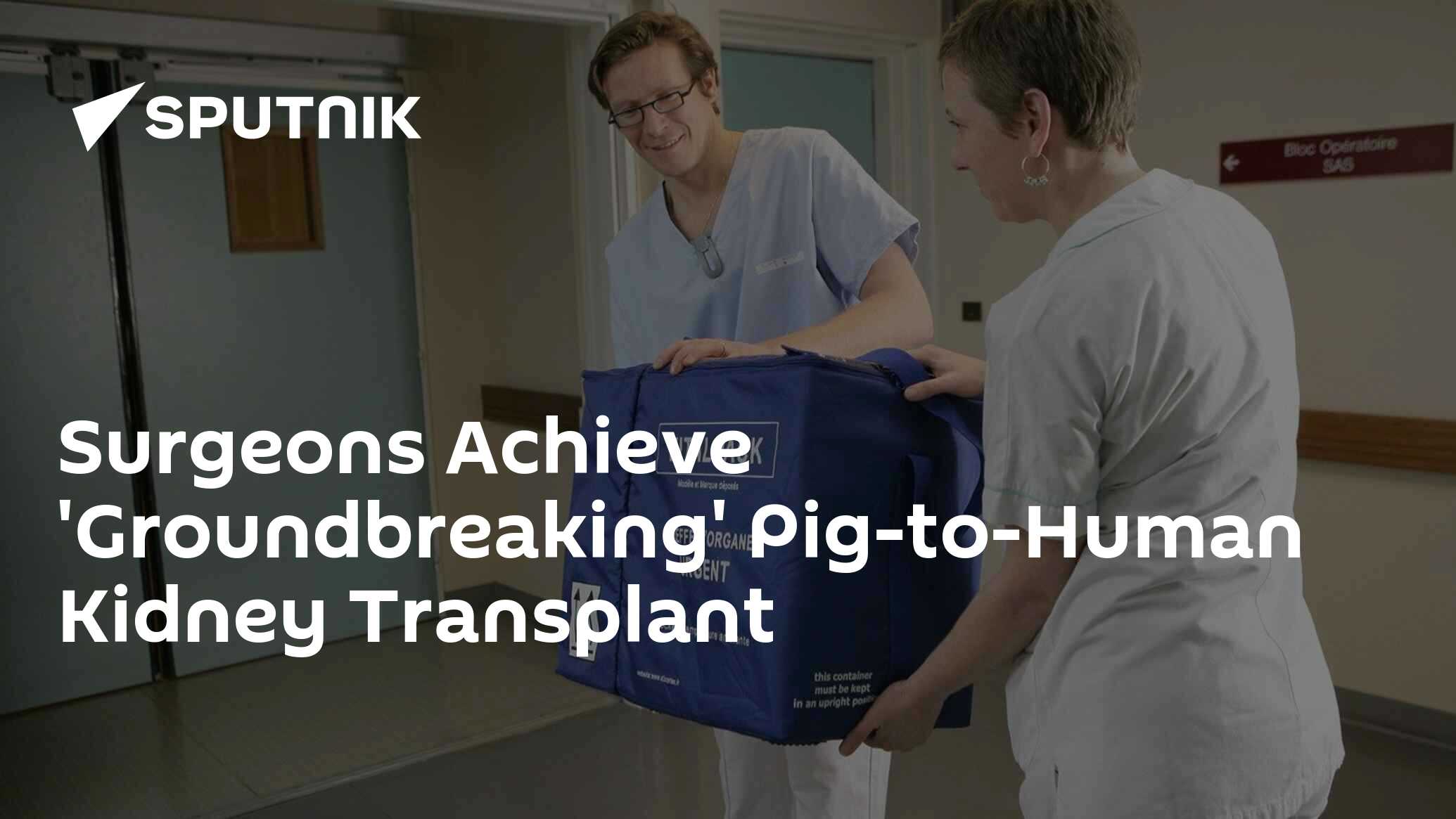 Surgeons Achieve First Ever Pig Kidney Transplant into Man
