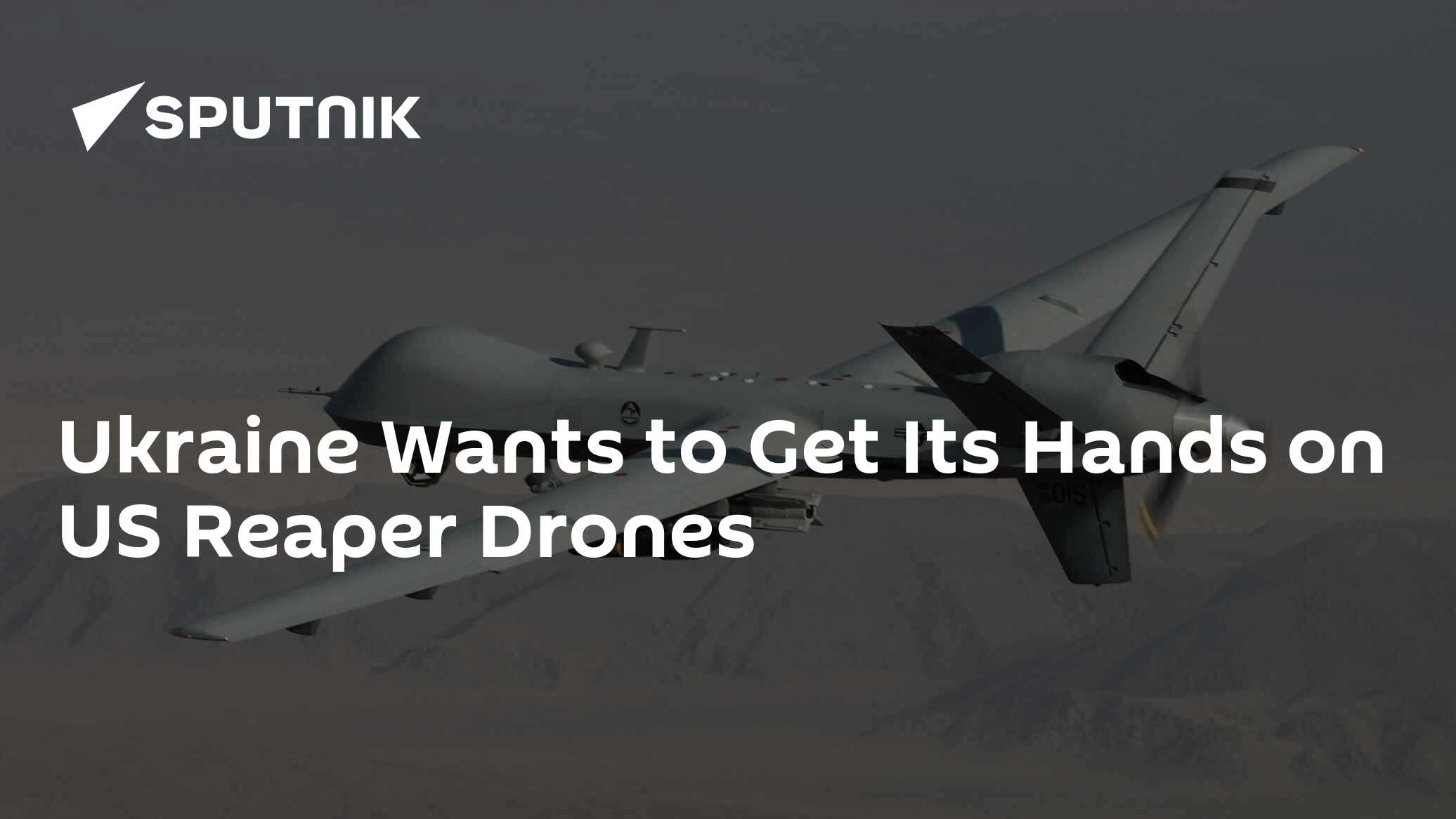 Ukraine Wants to Get Its Hands on US Reaper Drones