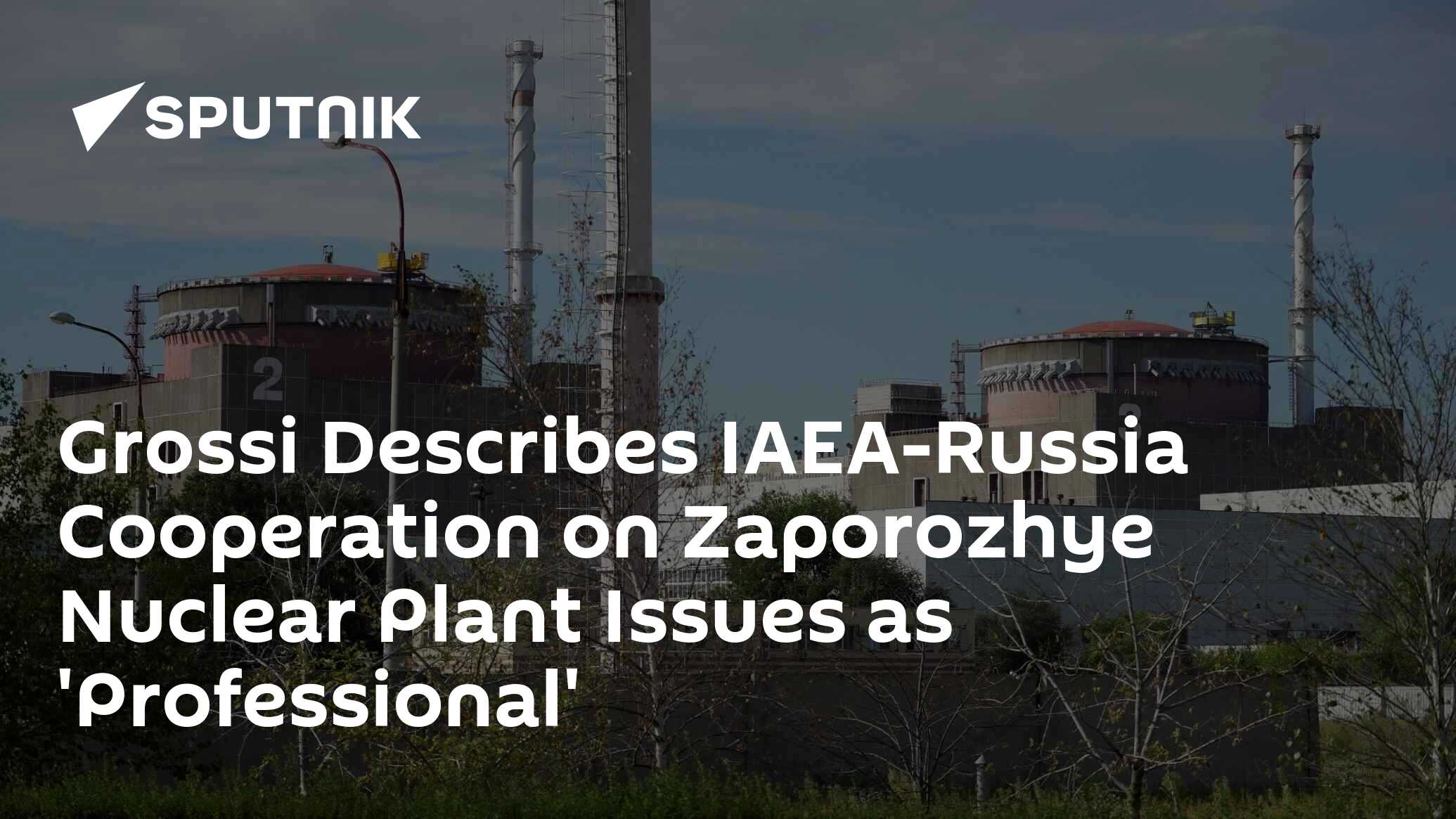 Grossi Describes IAEA-Russia Cooperation on Zaporozhye Nuclear Plant ...