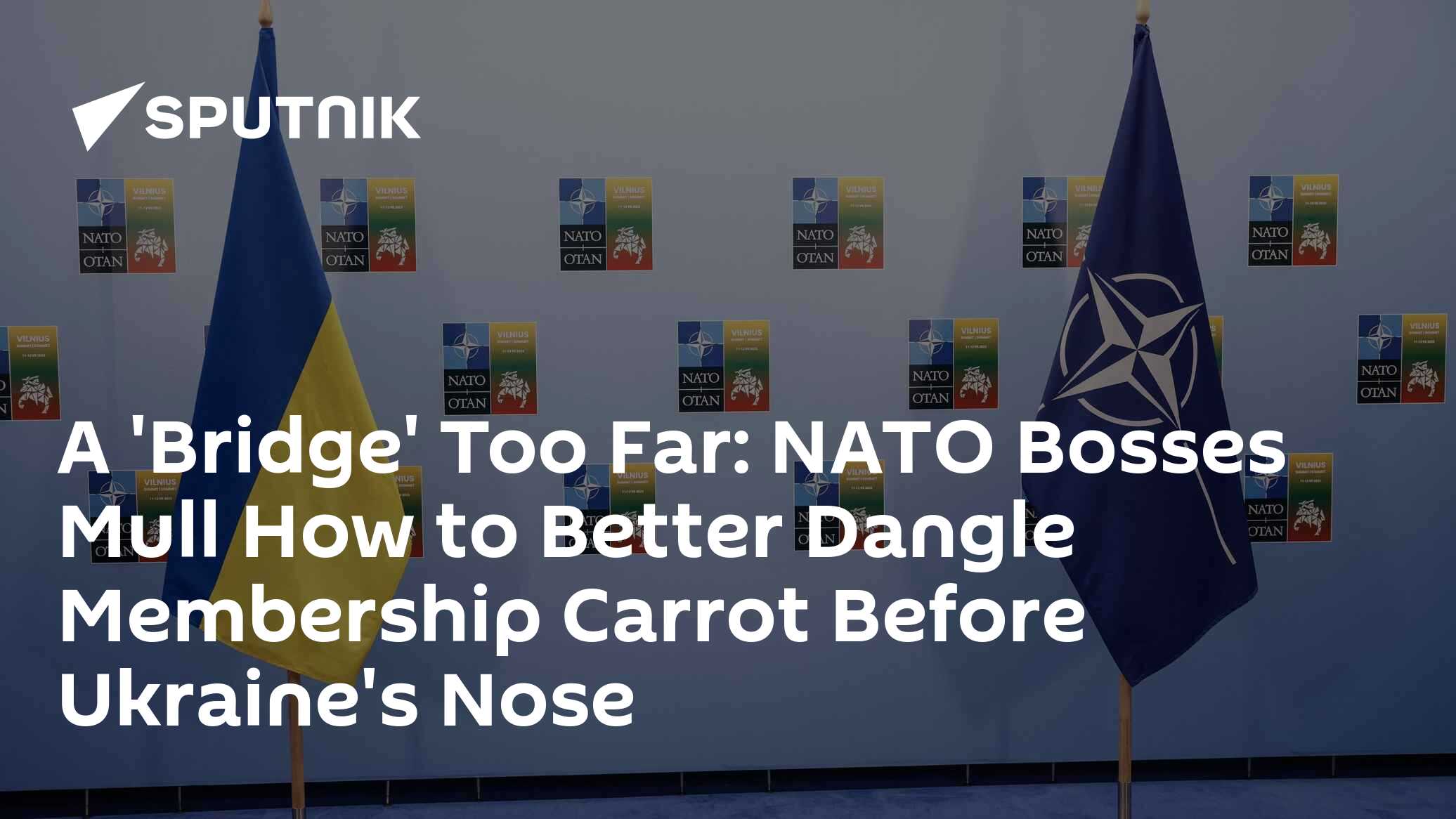A 'Bridge' Too Far: NATO Bosses Mull How to Better Dangle Membership ...
