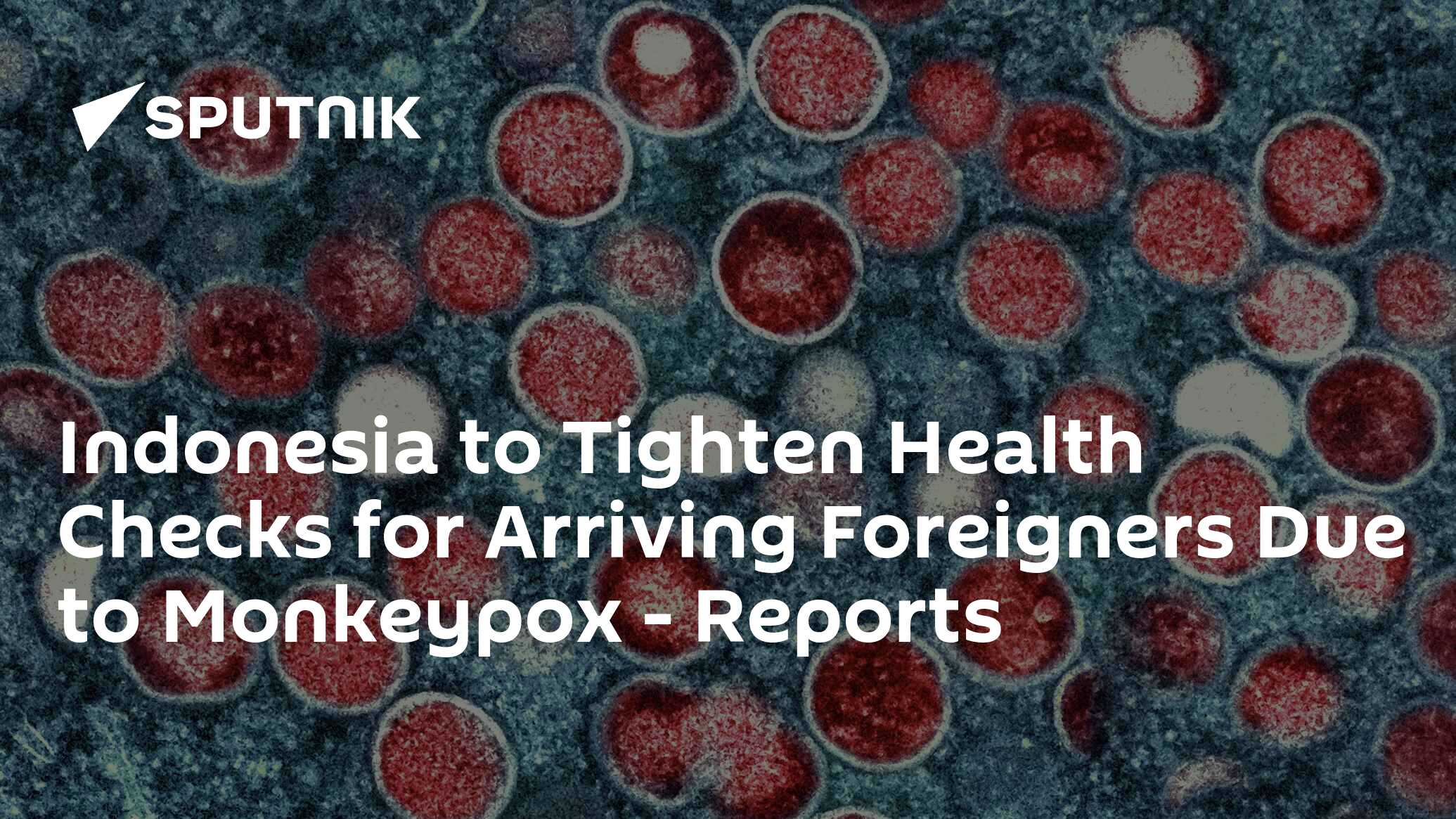 Indonesia to Increase Health Checks of Foreigner to Avoid Monkeypox