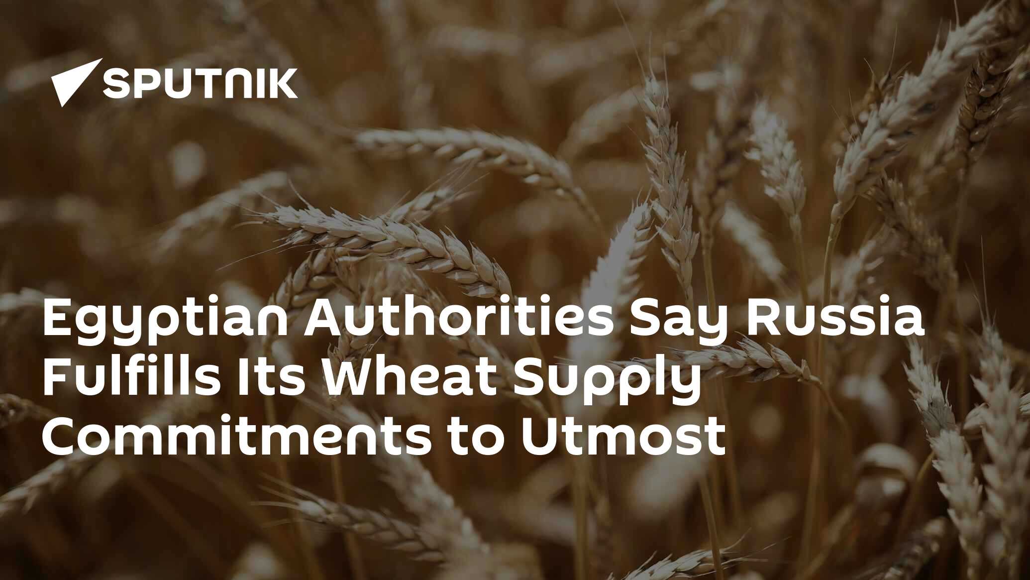 Egyptian Authorities Say Russia Fulfills Its Wheat Supply Commitments ...
