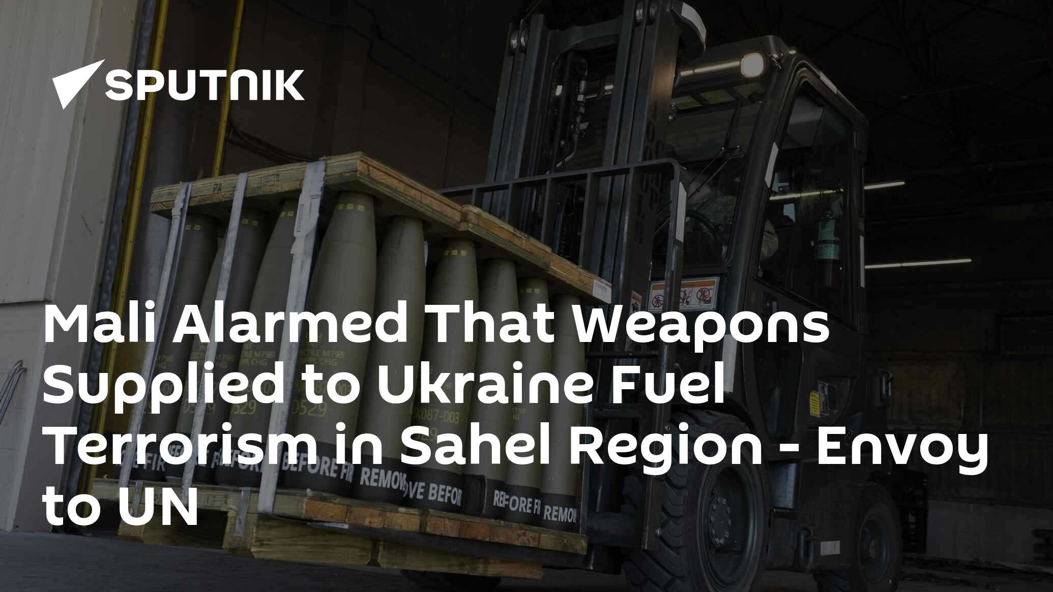Mali Alarmed That Weapons Supplied to Ukraine Fuel Terrorism in Sahel ...
