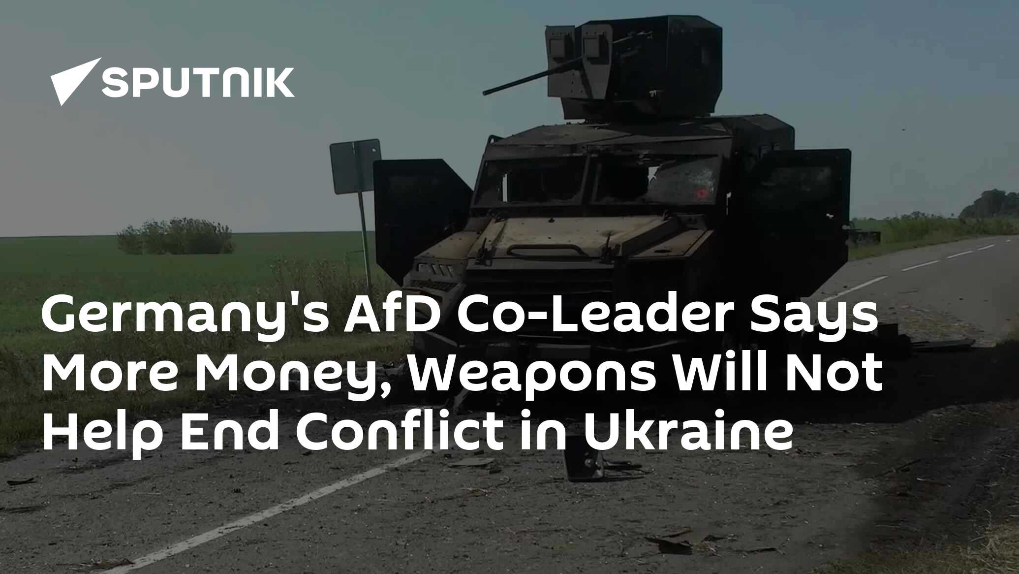 Germany's AfD Co-Leader Says More Money, Weapons Will Not Help End ...