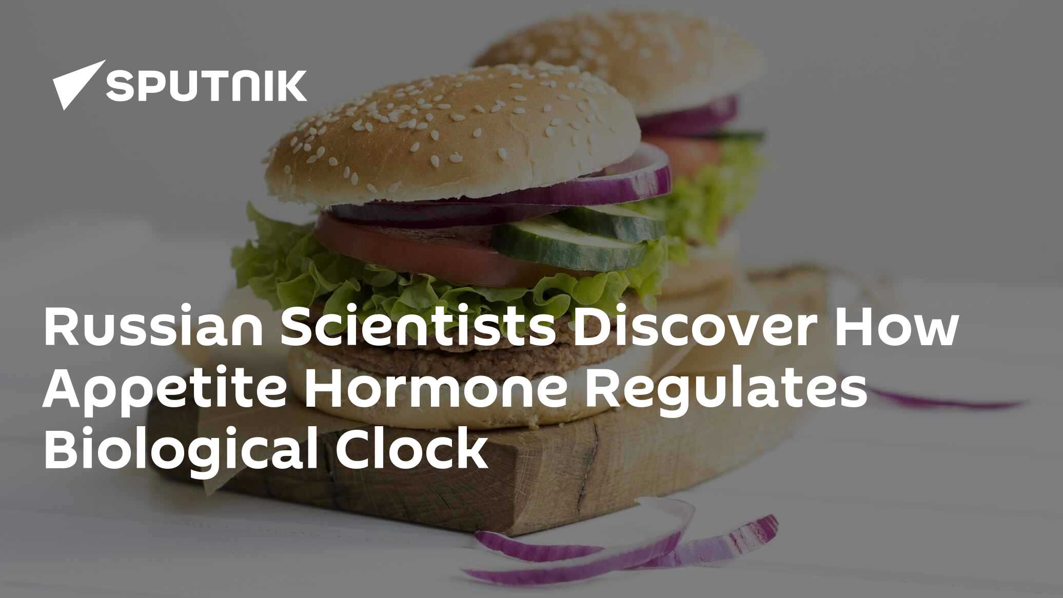 Russian Scientists Discover How Appetite Hormone Regulates Biological Clock
