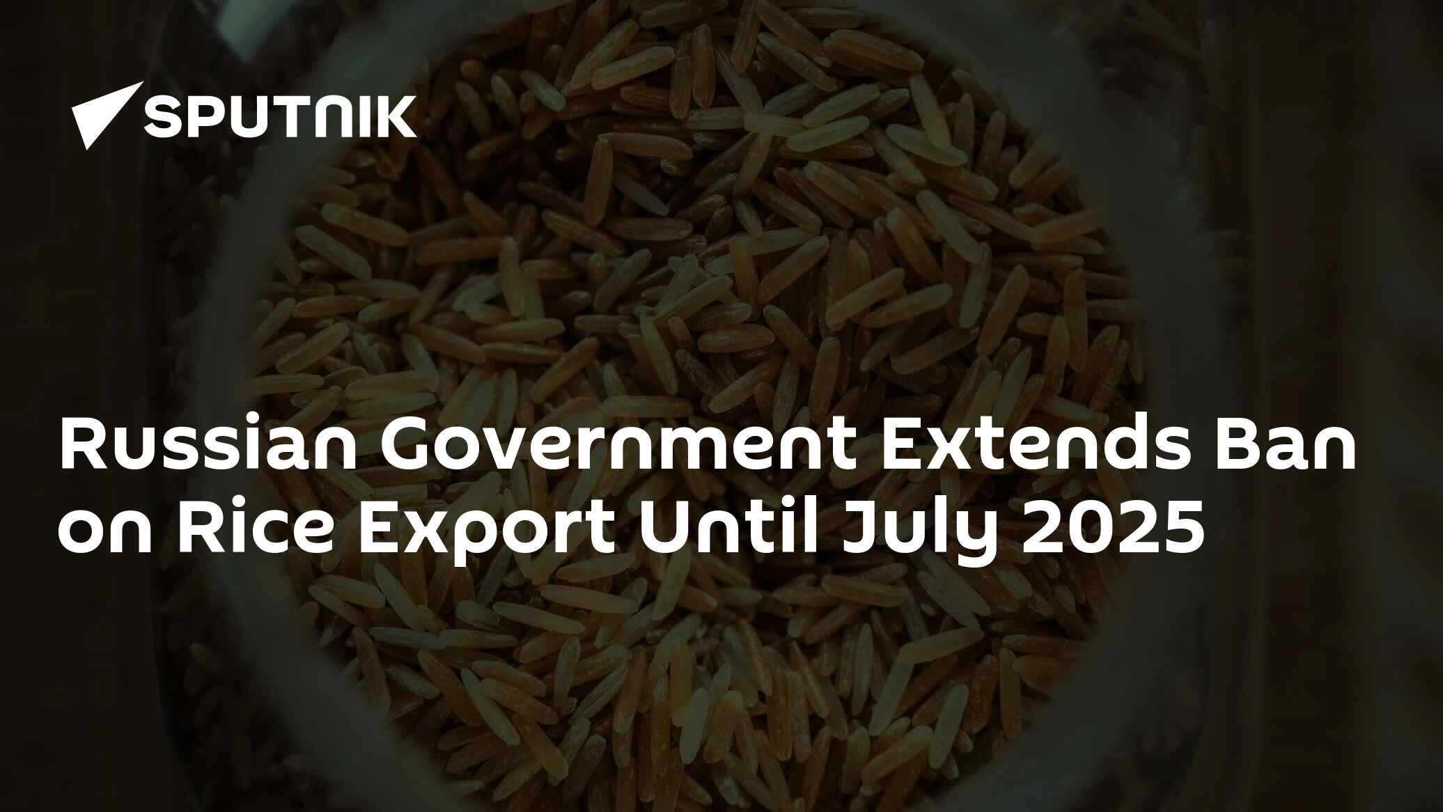 Russian Government Extends Ban on Rice Export Until July 2025