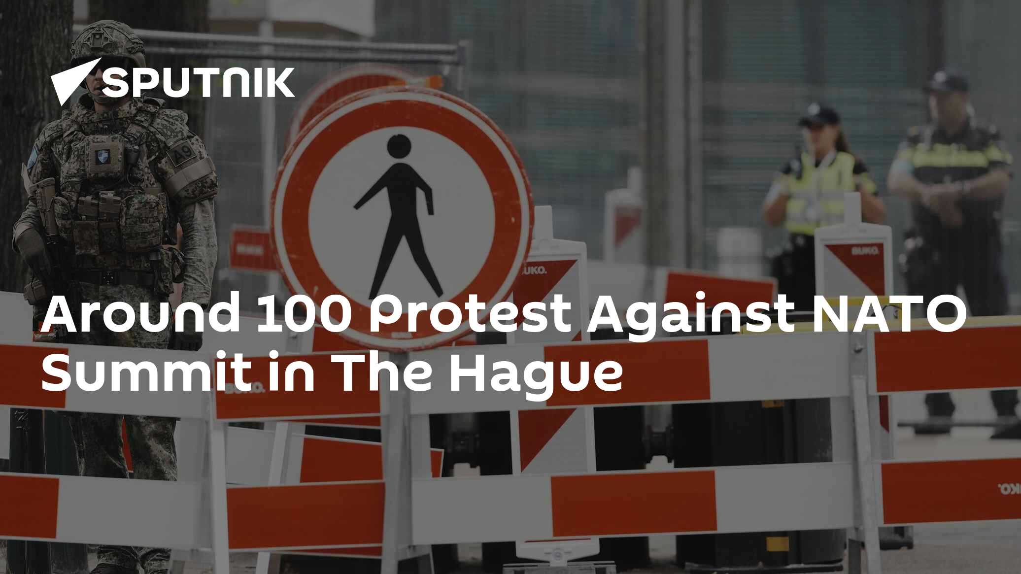 Around 100 Protest Against NATO Summit in The Hague - South Africa Today