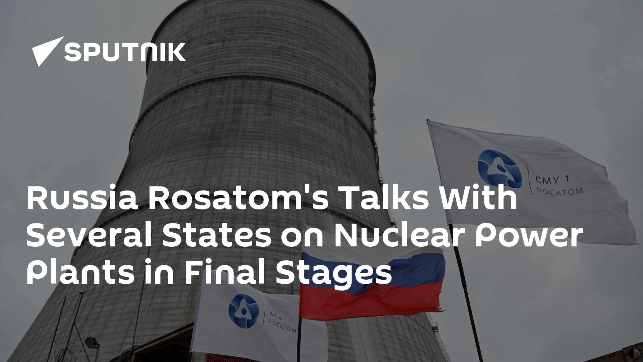 Russia Rosatom's Talks With Several States on NPPs in Final Stages