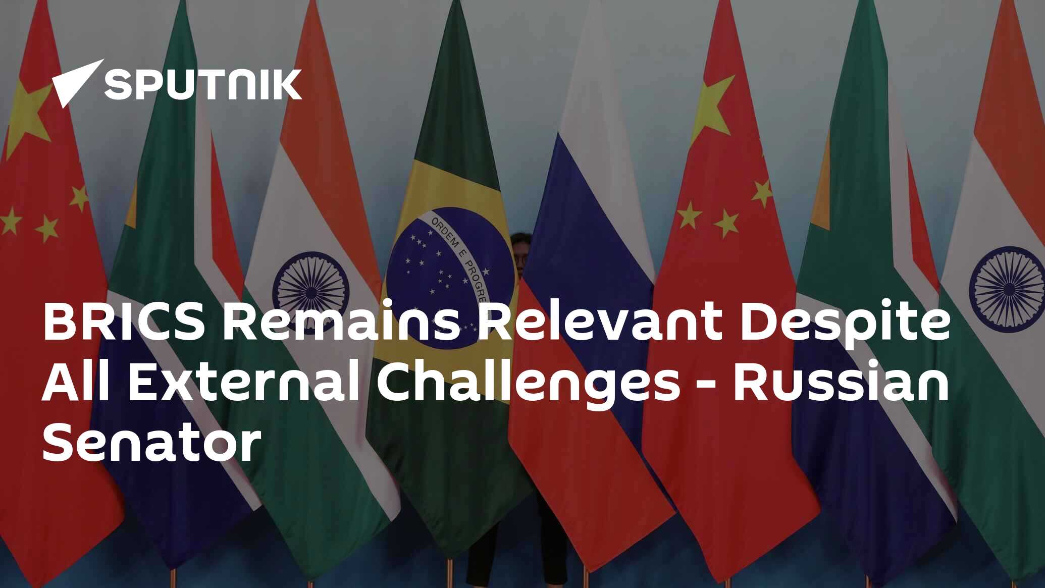 BRICS Remains Relevant Despite All External Challenges - Russian Senator