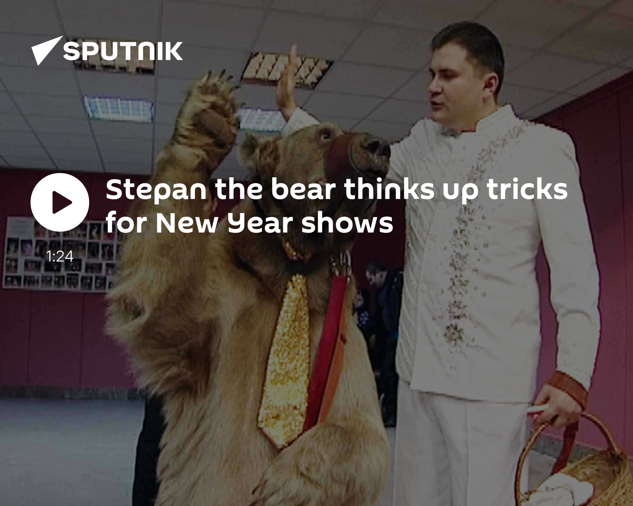 Stepan the bear thinks up tricks for New Year shows - 06.01.2011 ...