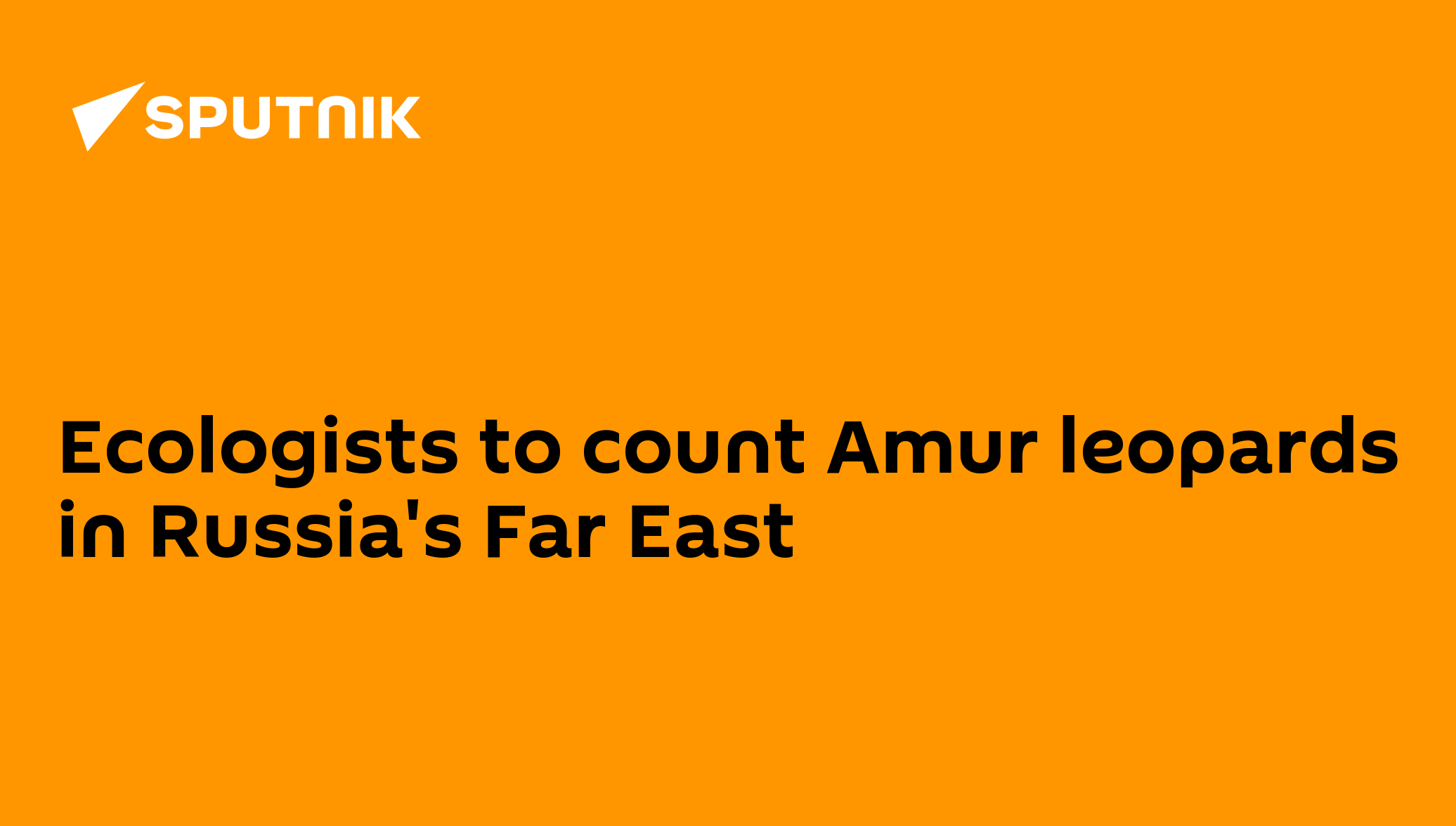 Ecologists to count Amur leopards in Russia's Far East - 17.01.2011 ...